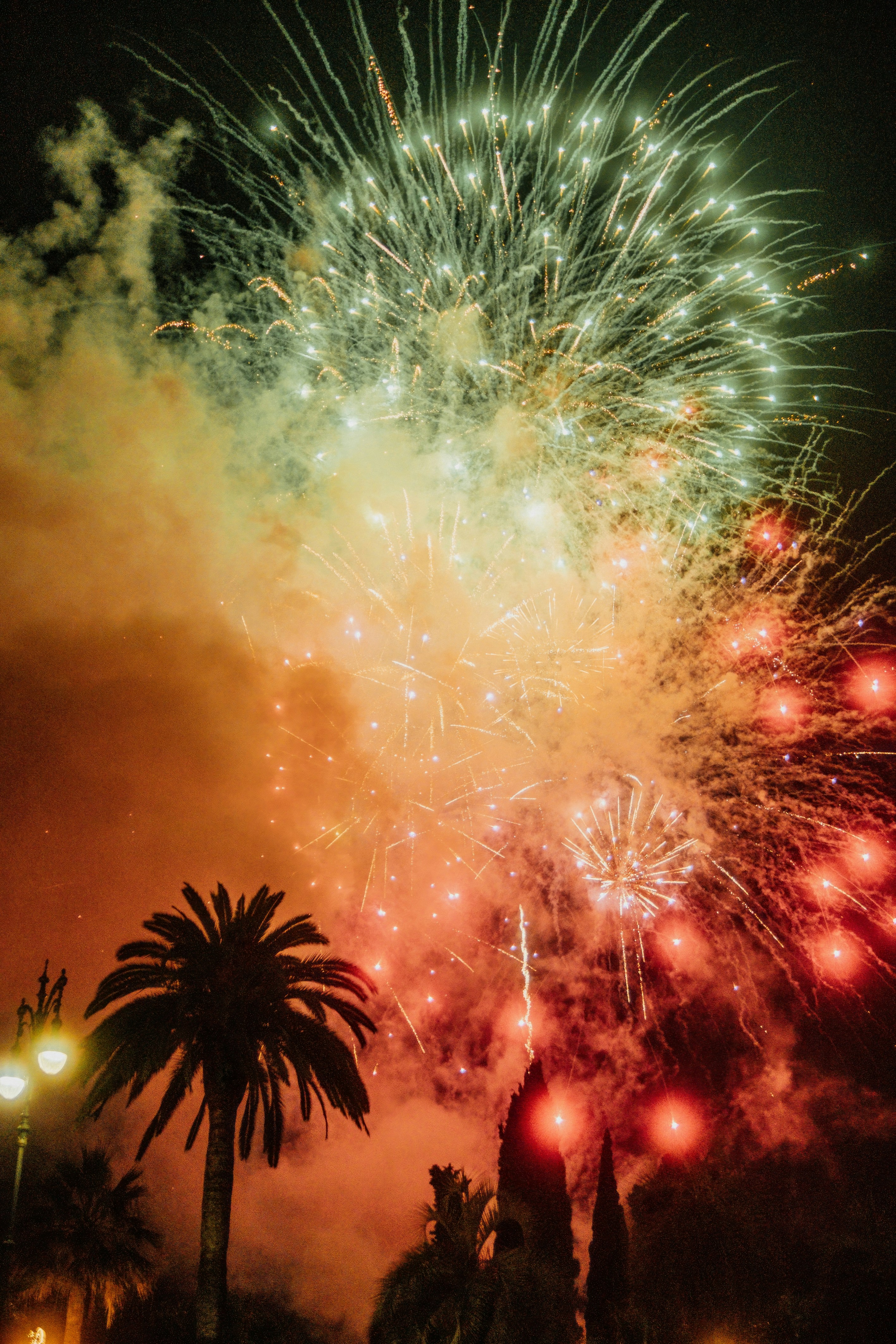 Colorful fireworks explode over palm trees at night