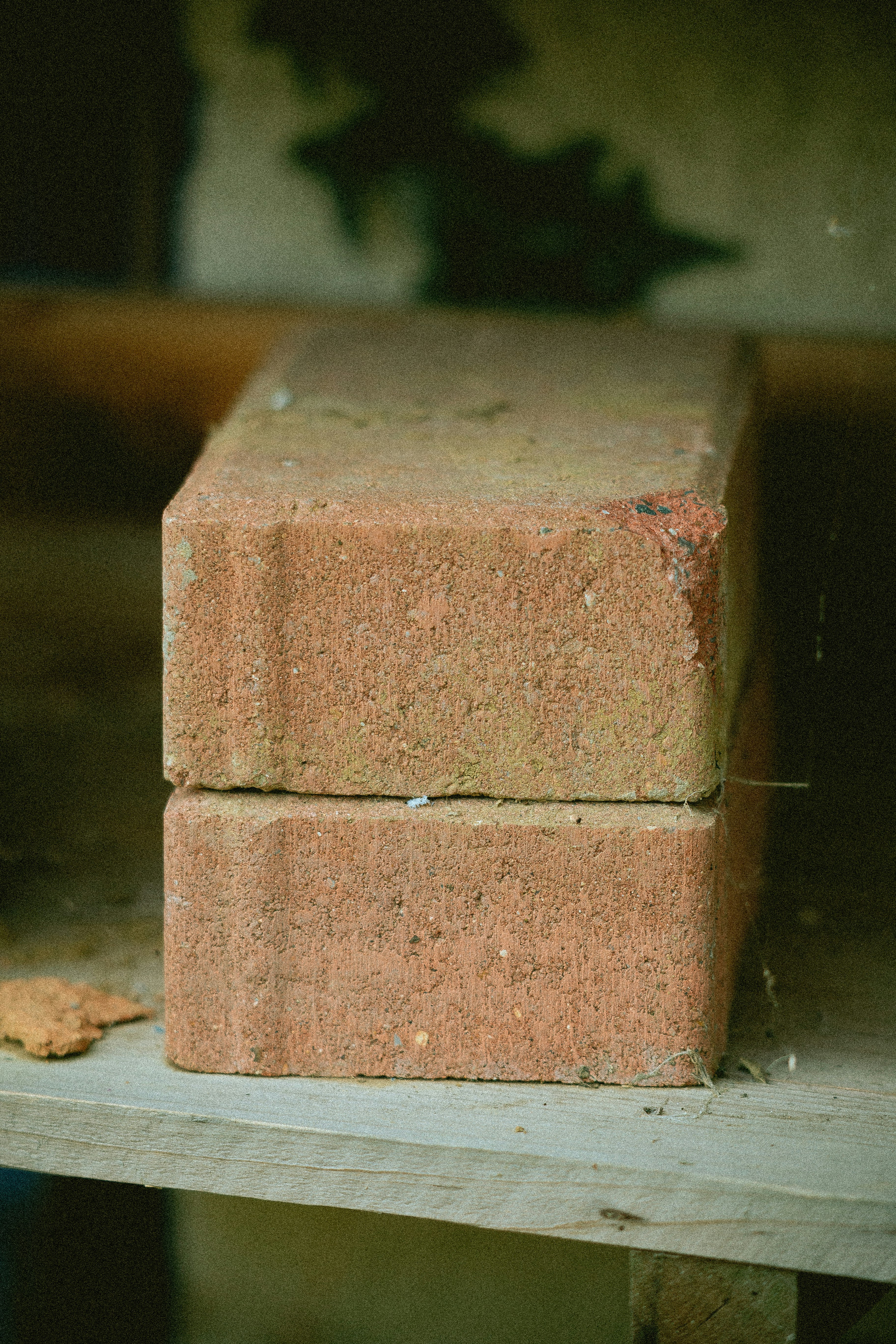 Loved capturing this moment 📸. If you enjoy minimal photography, check out my guide here: https://quietminimalism.etsy.com/listing/4347811015 | Two stacked red bricks on a shelf