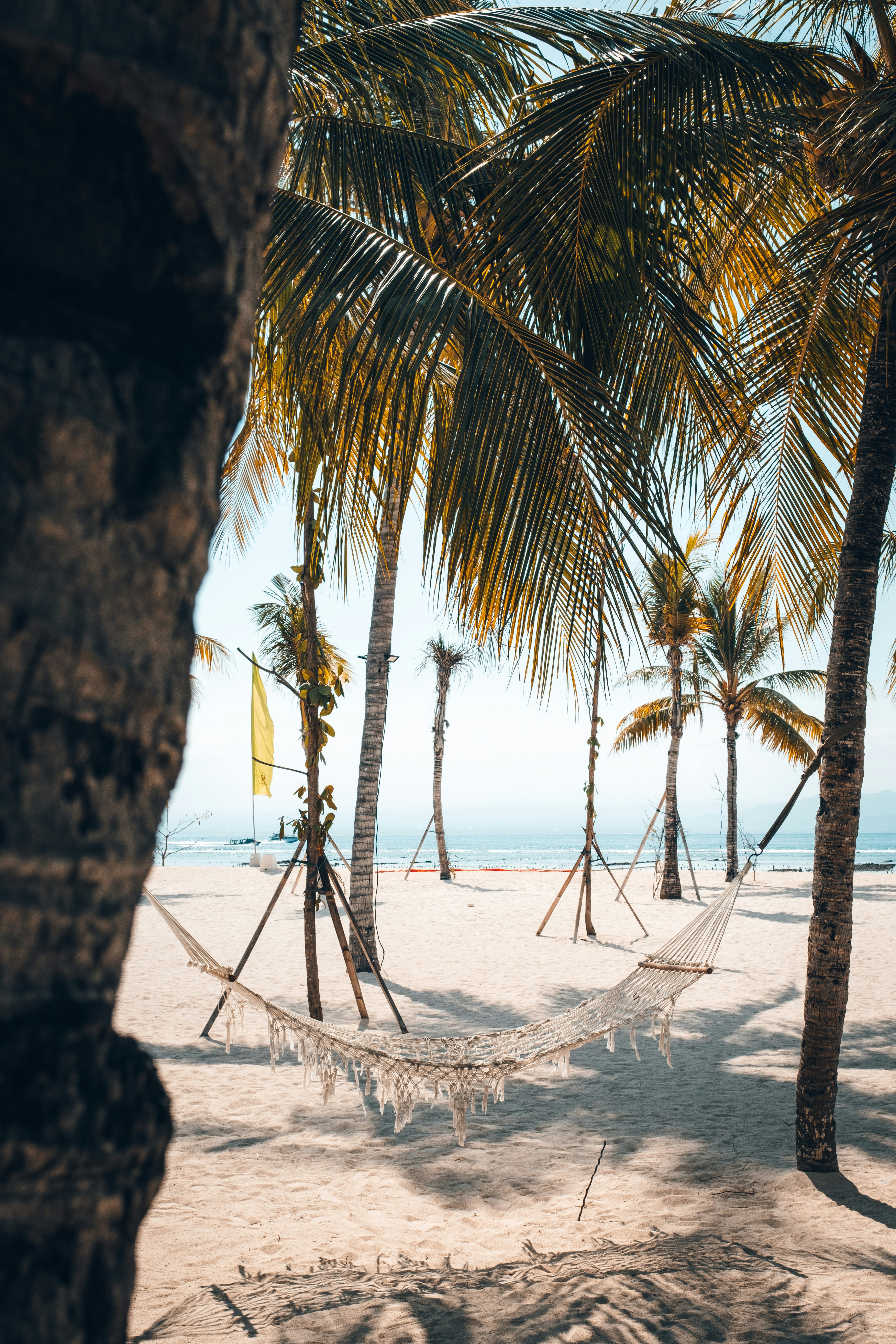 A tranquil beach scene featuring a hammock suspended between palm trees, framed by lush foliage and a distant ocean view.