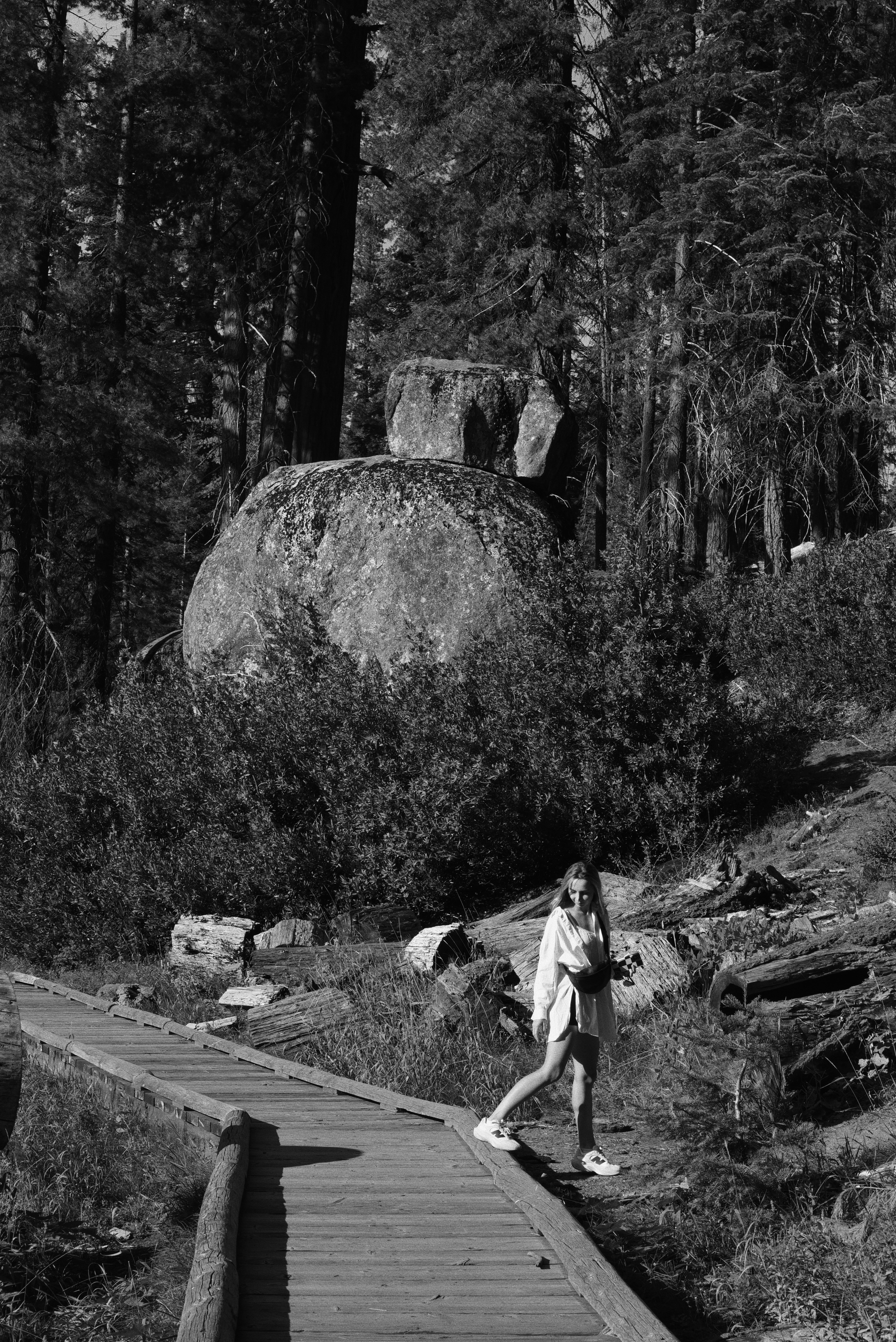 Stone Guardian | Woman walks on wooden path in forest with large rock