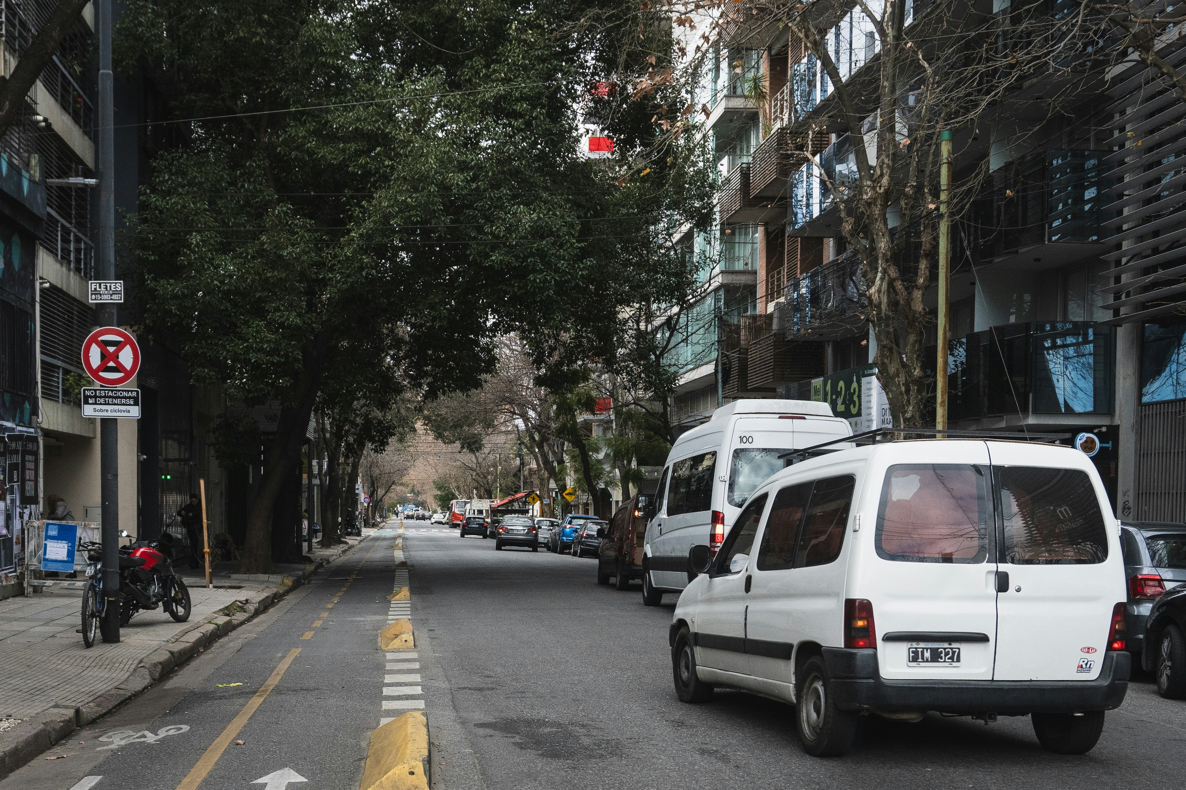 A tranquil city street scene featuring parked vehicles and lush trees lining the road, highlighting the contrast between urban life and nature.