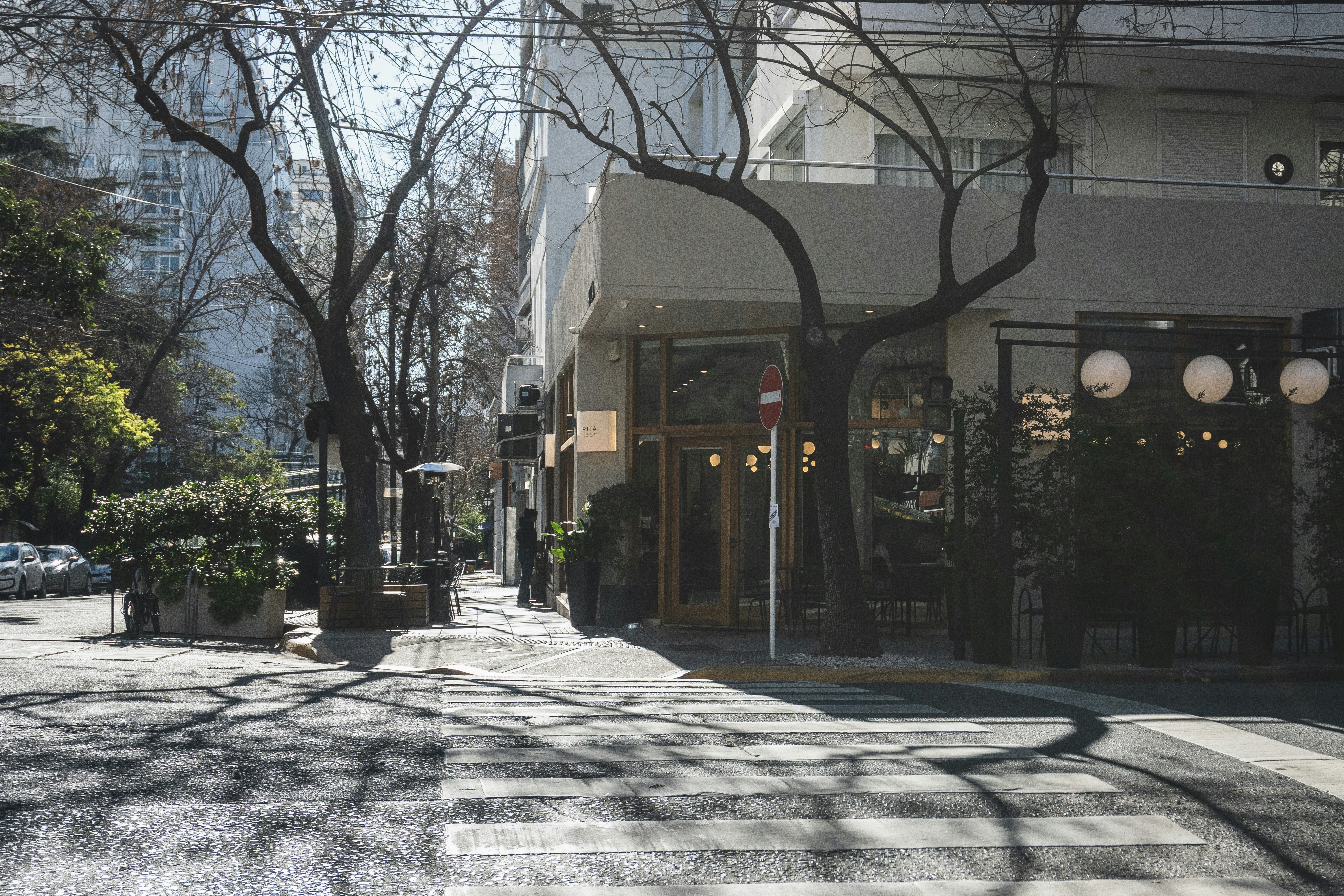 Bare trees line a city street with a building.