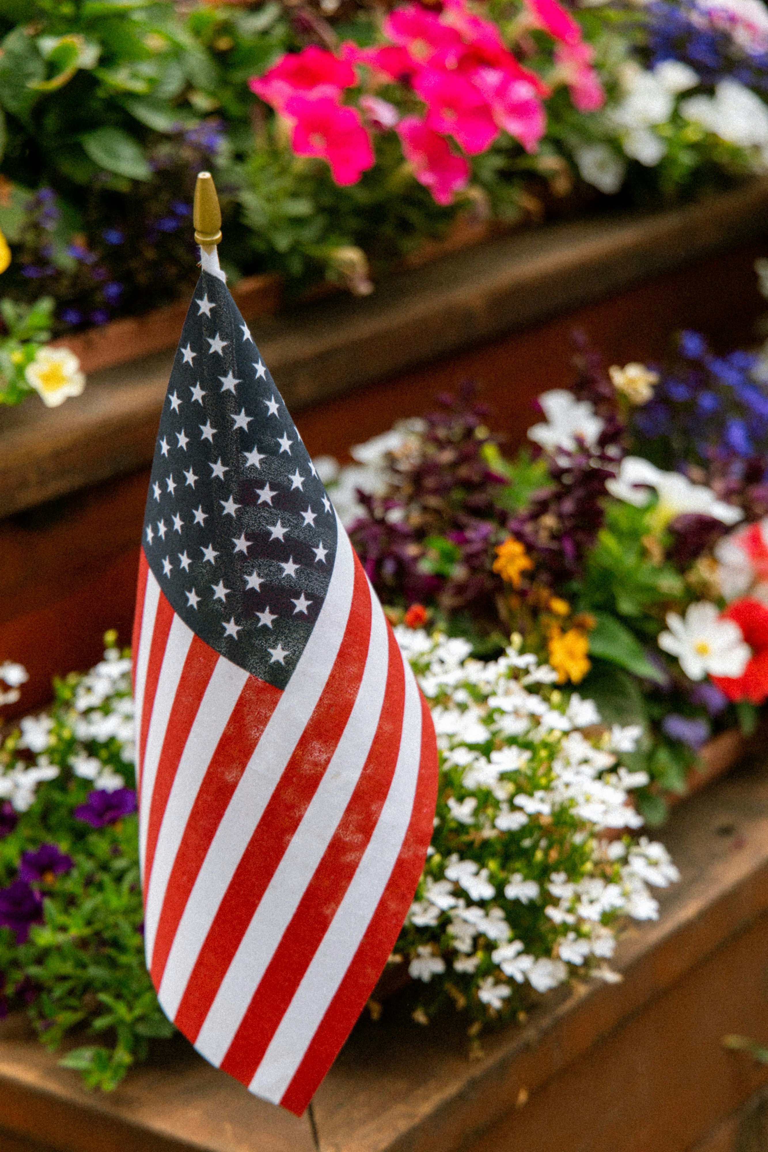 Patriotic Blooms: A Floral Tribute to Freedom