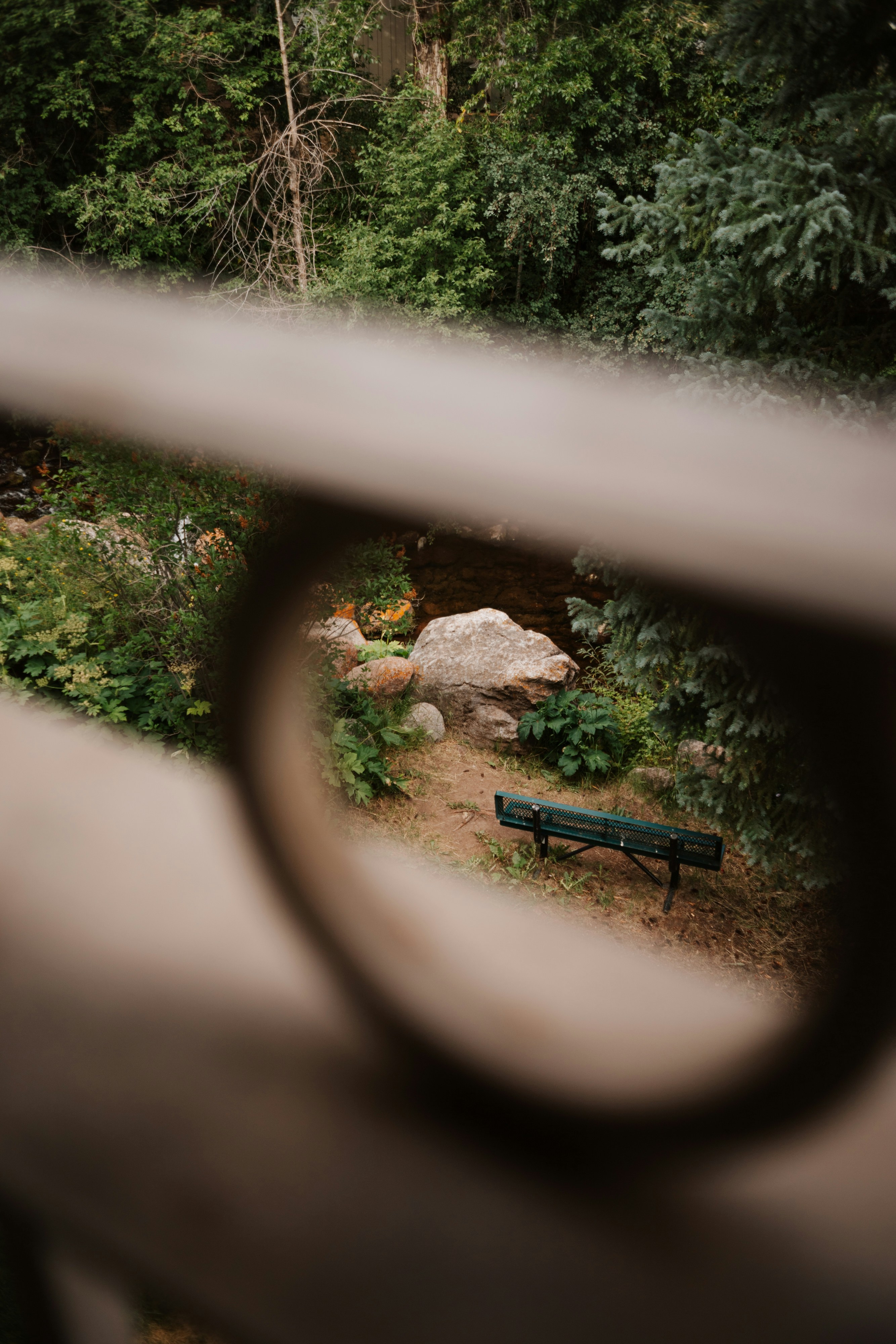 Bench in a secluded park seen through a railing. photo – Free Forest ...