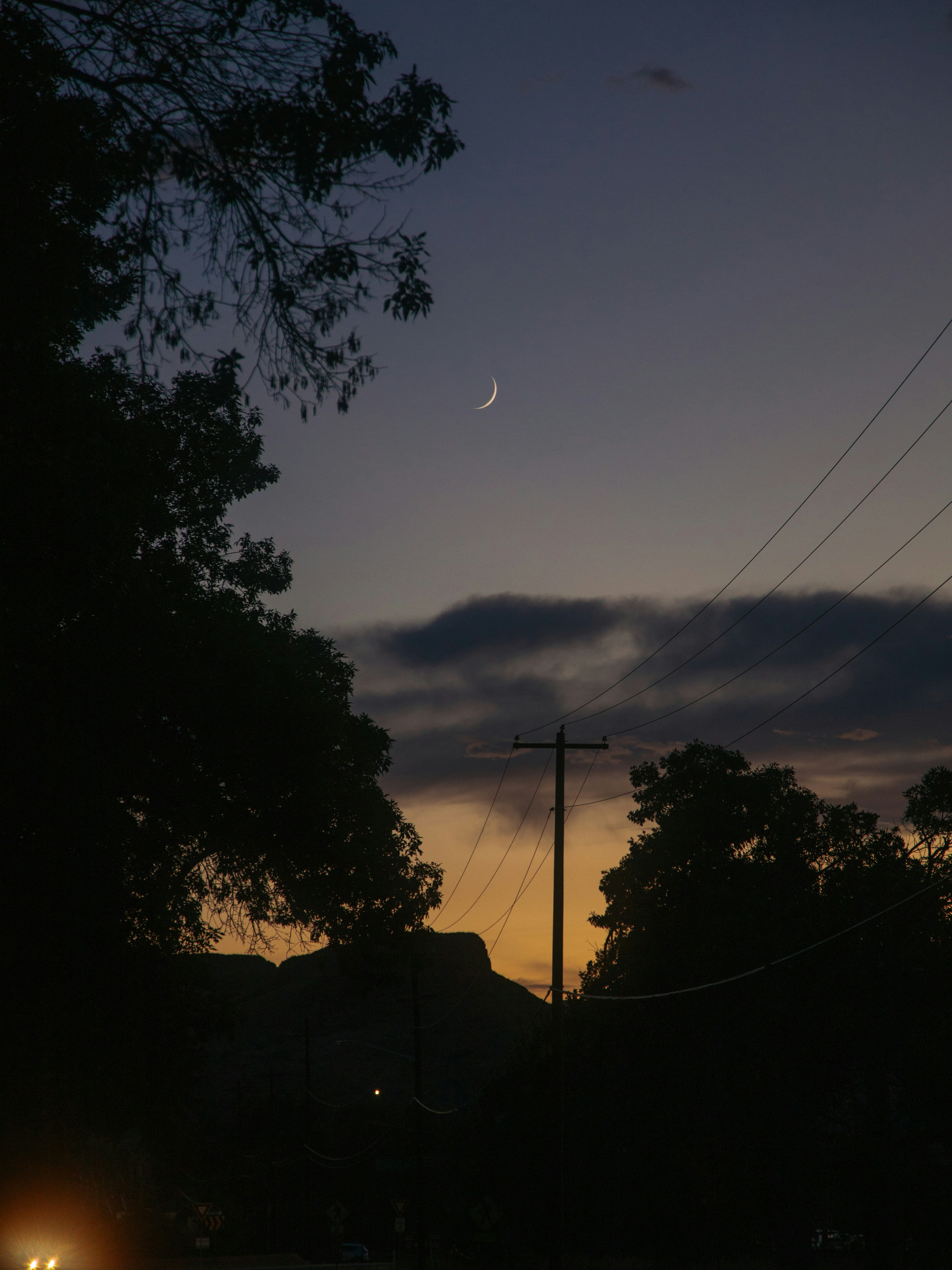 Crescent moon in a twilight sky with trees
