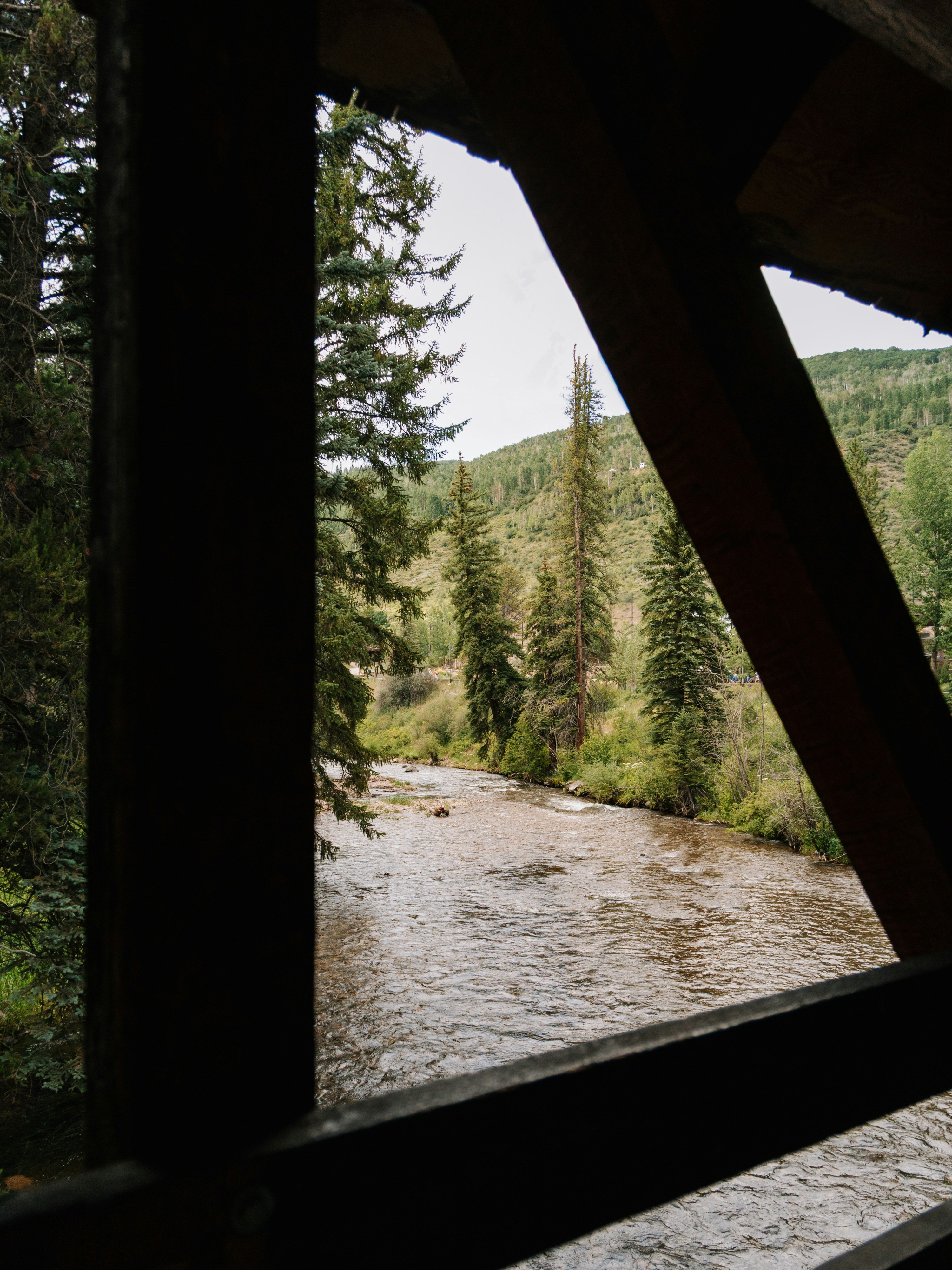 Nature's Framed Serenity