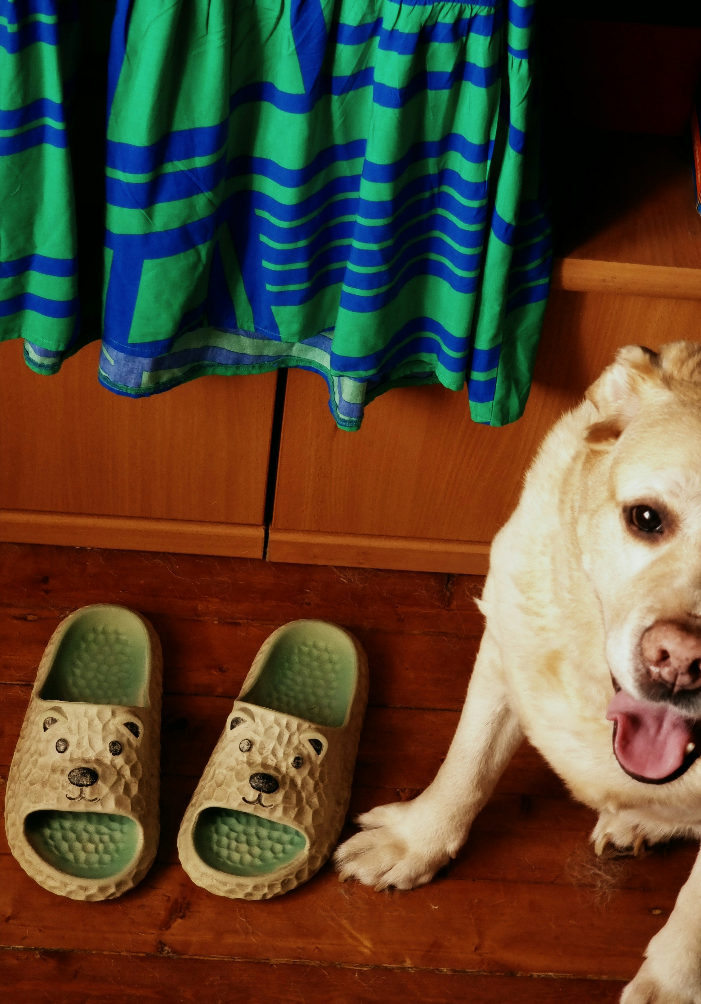 Whimsical Companions: A Playful Pause