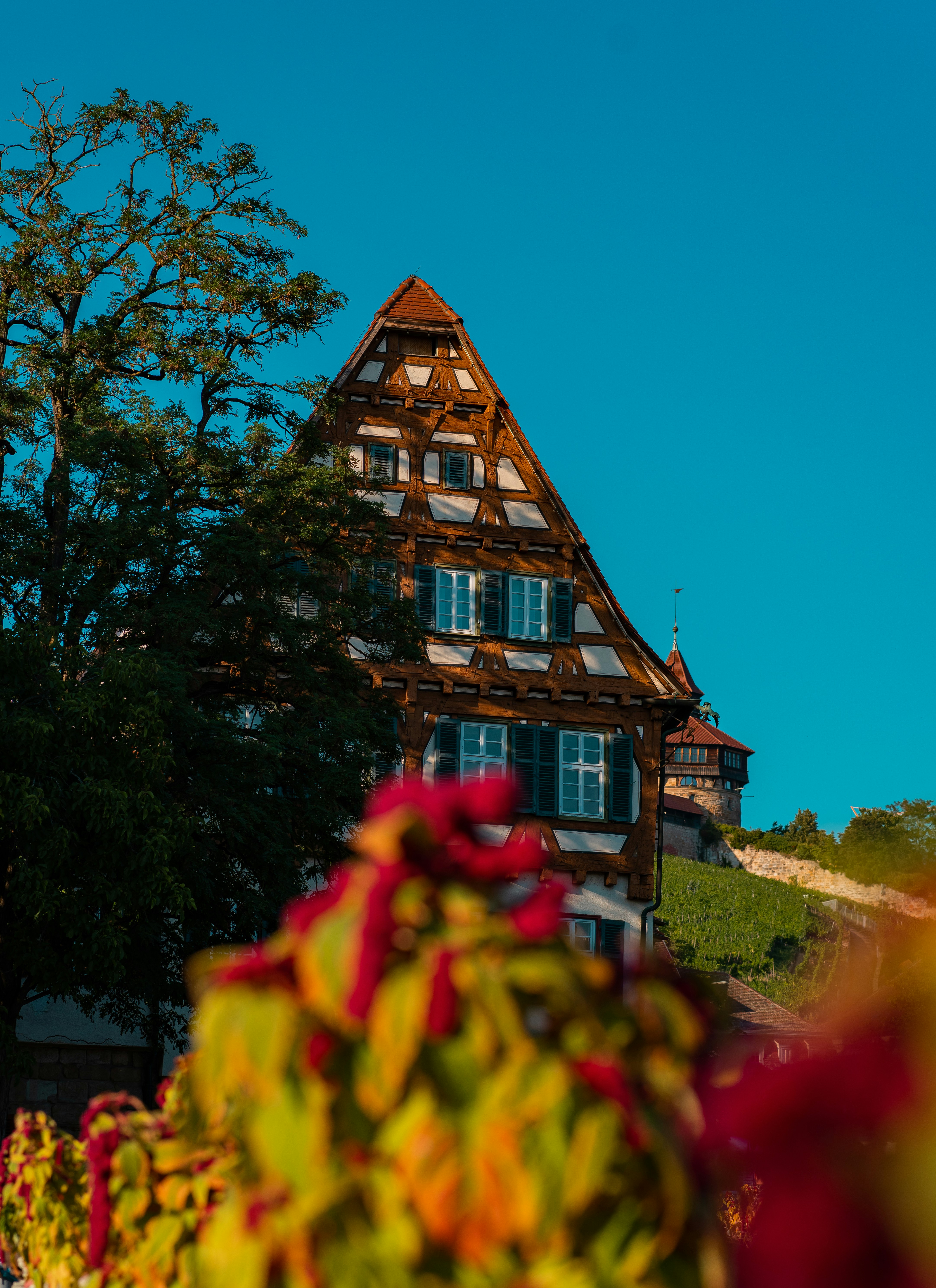 A beautifully crafted timber-framed house nestled among vibrant foliage under a clear blue sky.