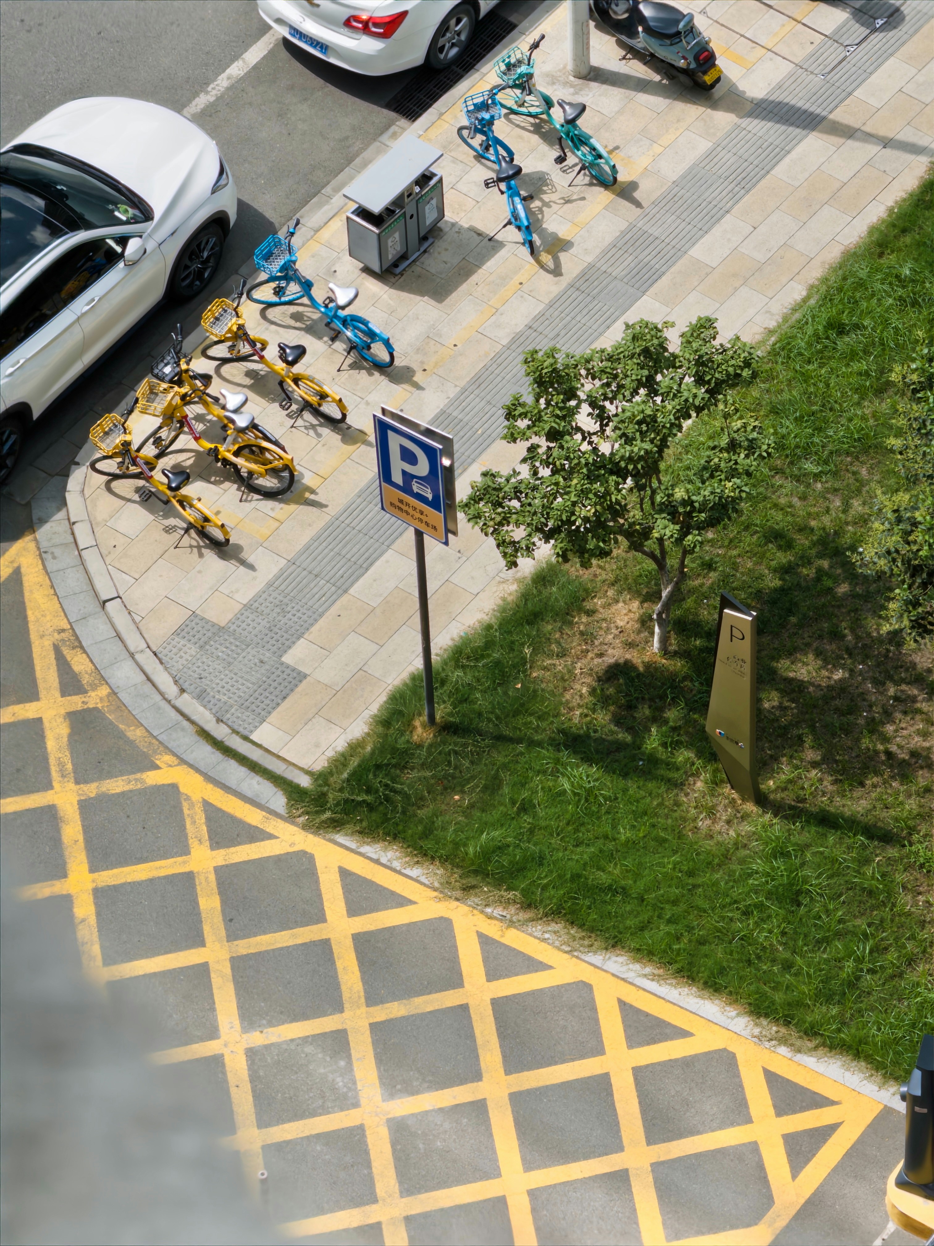 Urban Mobility: A Symphony of Bikes and Cars