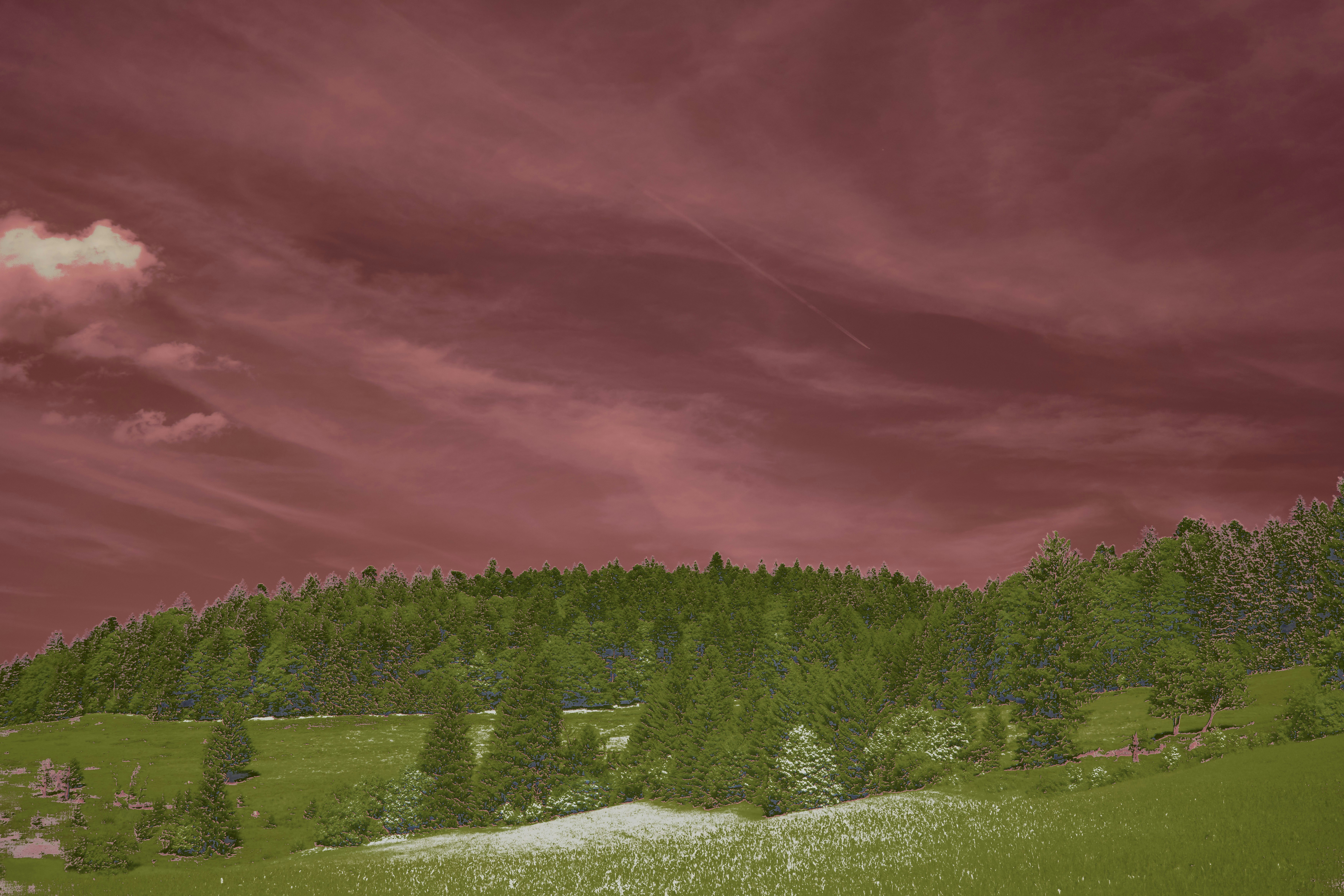 Green forest landscape under a red sky