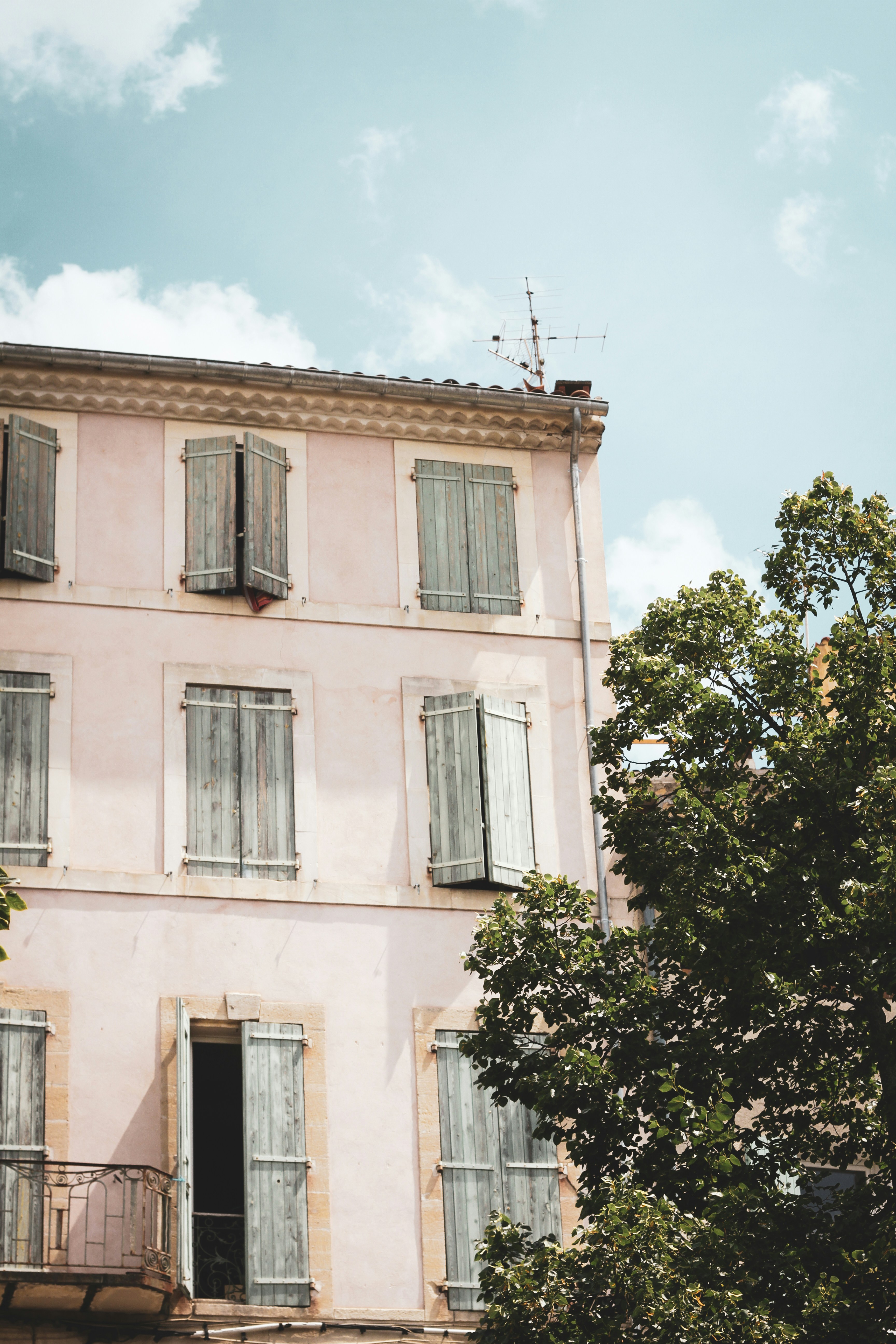Charming pastel-colored building with green shutters, partially hidden by lush foliage, under a bright sky.