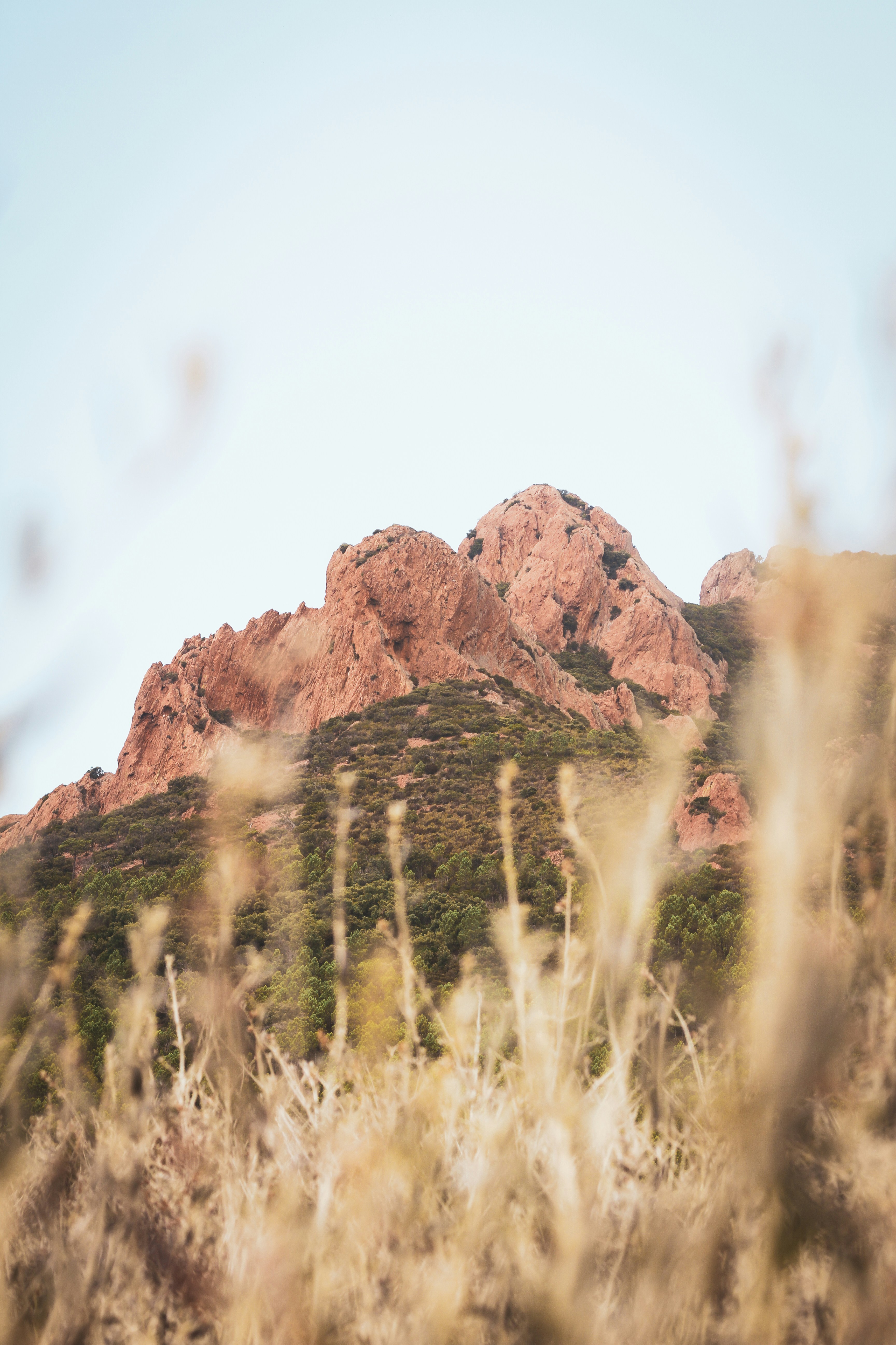 Whispers of the Rocky Horizon