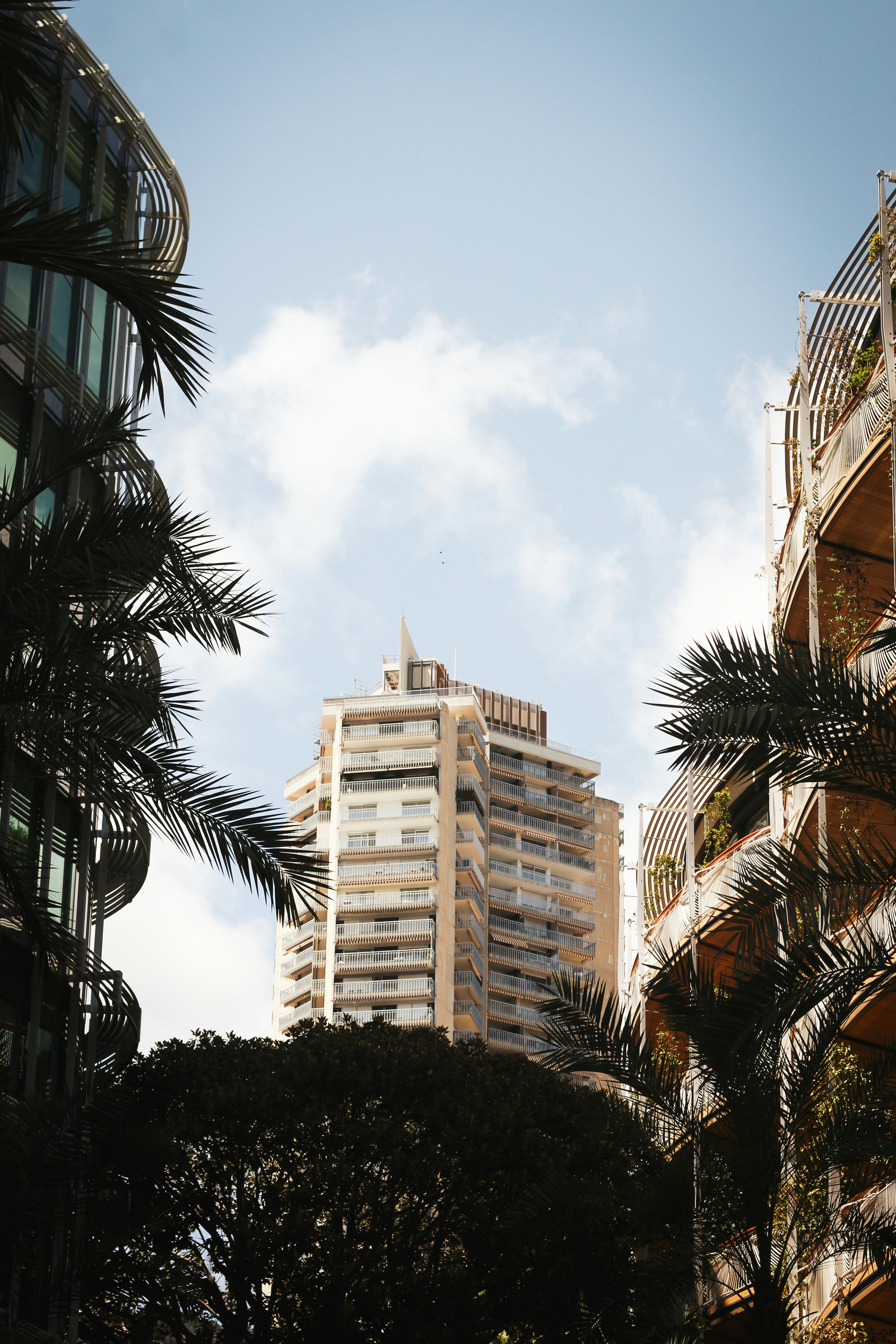 Modern skyscraper viewed through tropical foliage