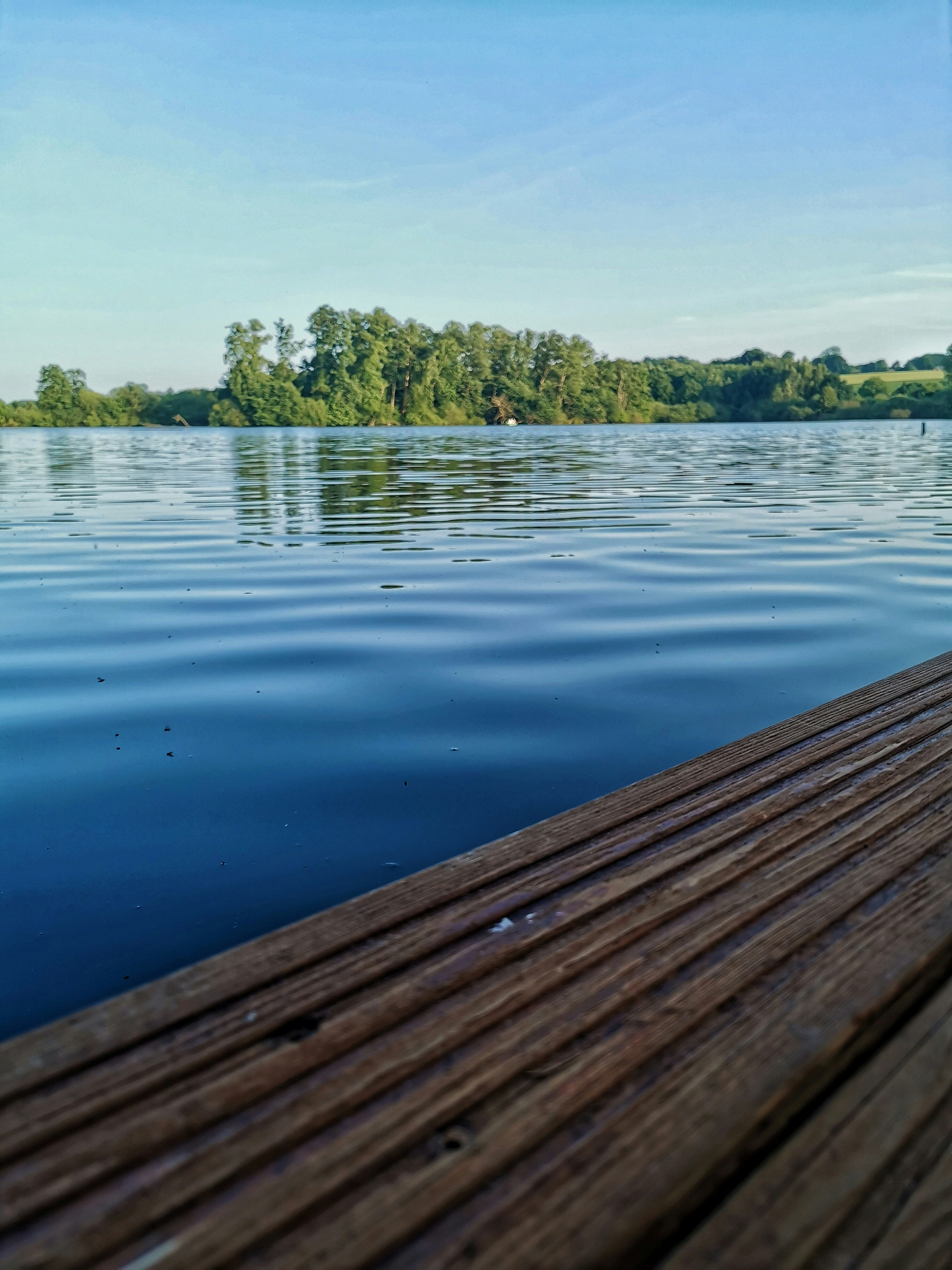 Wooden dock extending into a calm lake, surrounded by lush greenery and a clear blue sky. The tranquil water reflects the natural scenery.