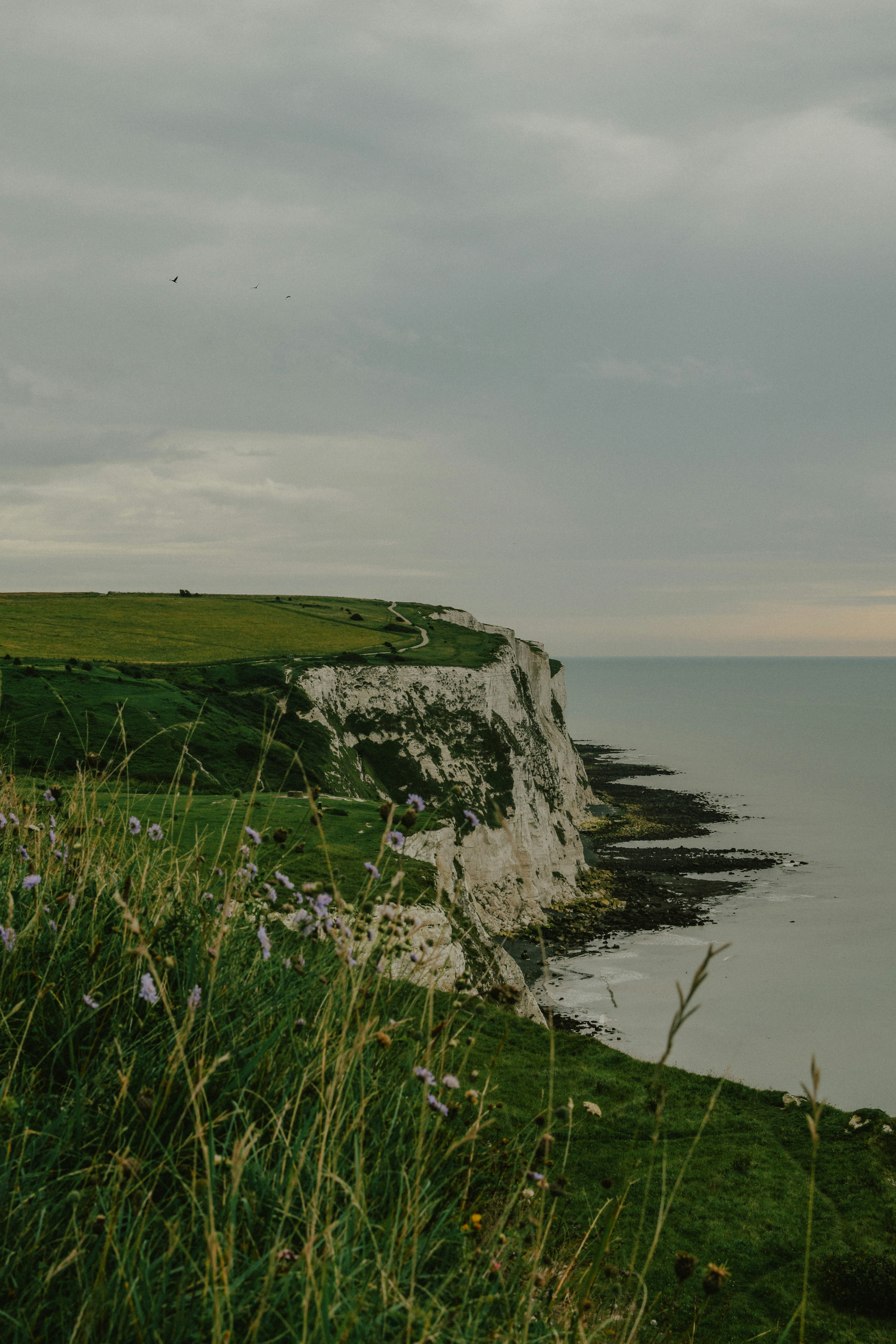 Cliffs adorned with lush greenery drop into the tranquil sea, under a moody sky. The scene captures the serene interplay between land and water.