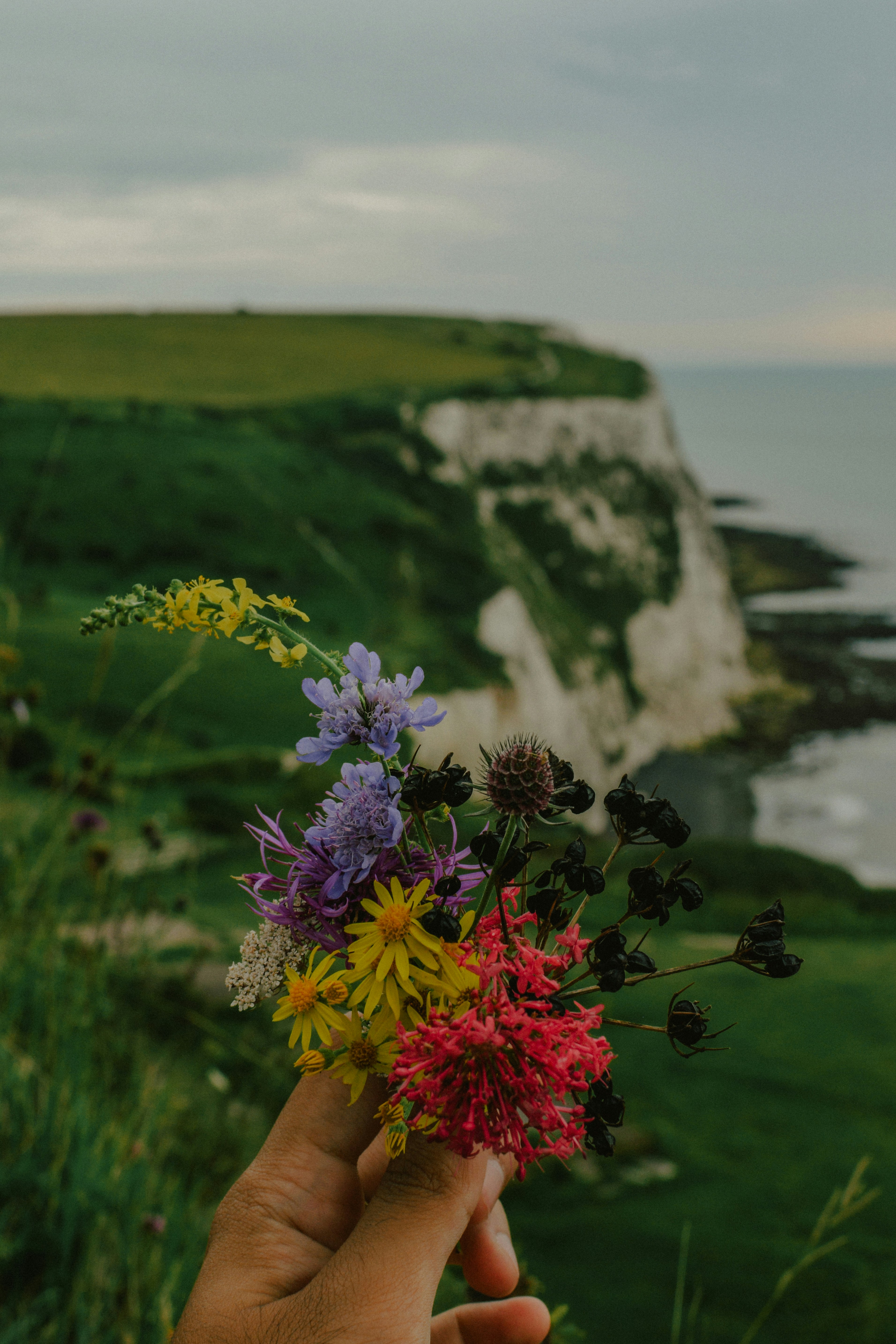 Bouquet at the Edge: Wildflowers Against a Coastal Cliffscape