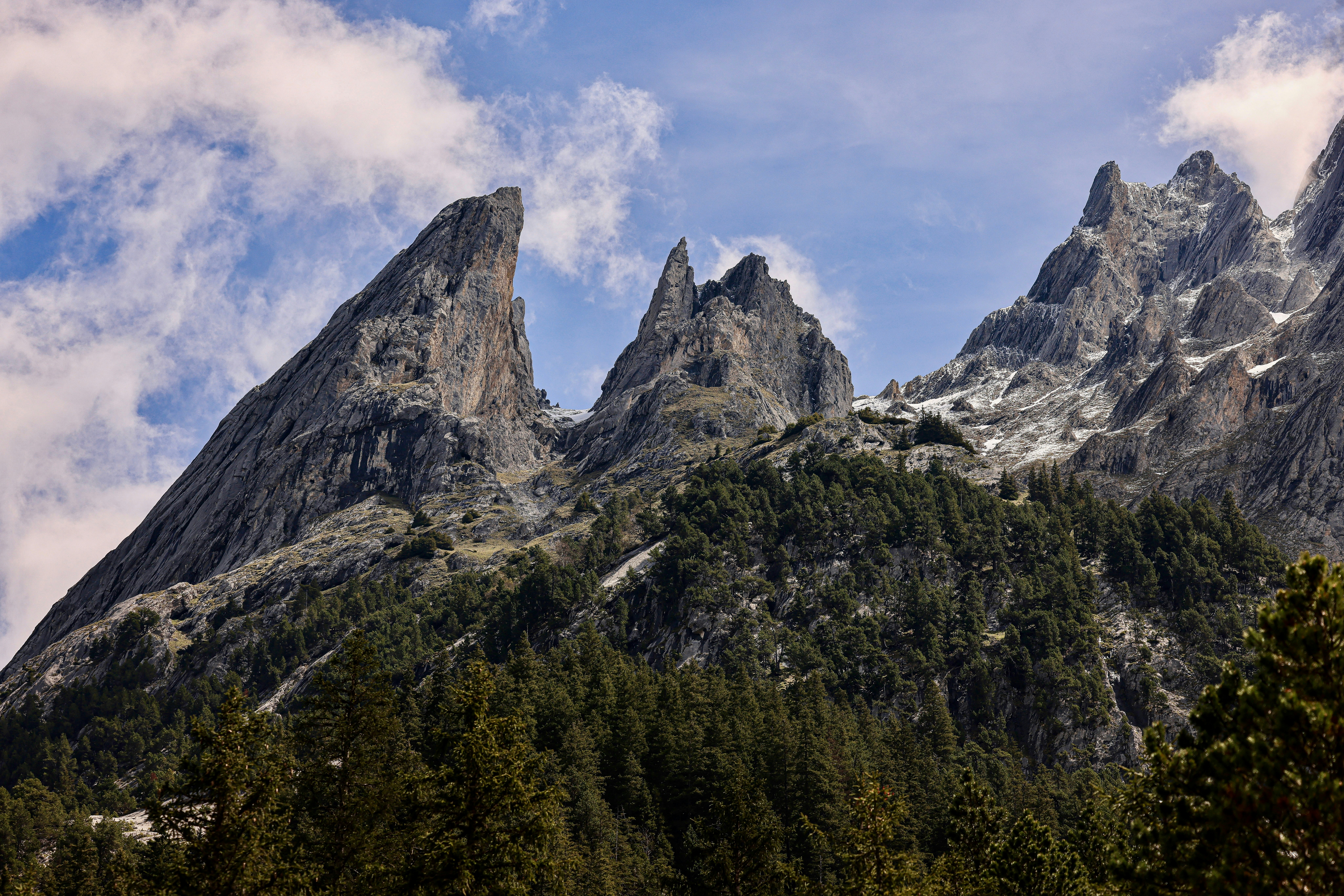 Jagged mountain peaks rise above a dense forest.