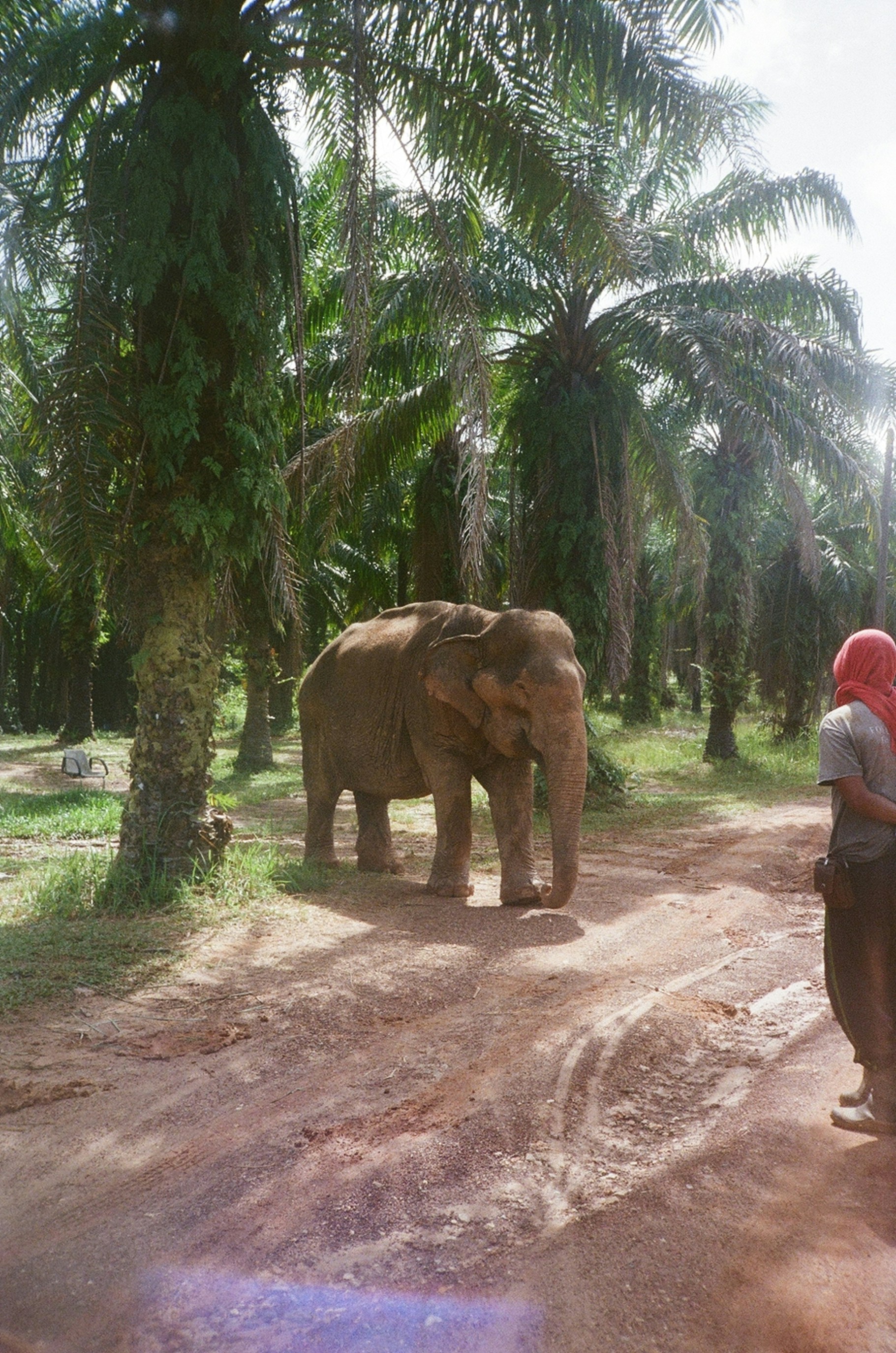 Sample photo from Canon Autoboy Lite