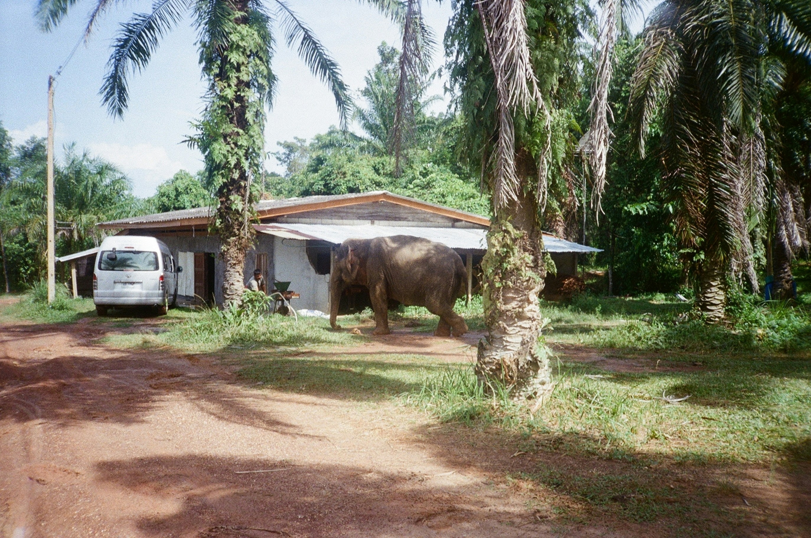 Sample photo from Canon Autoboy Lite