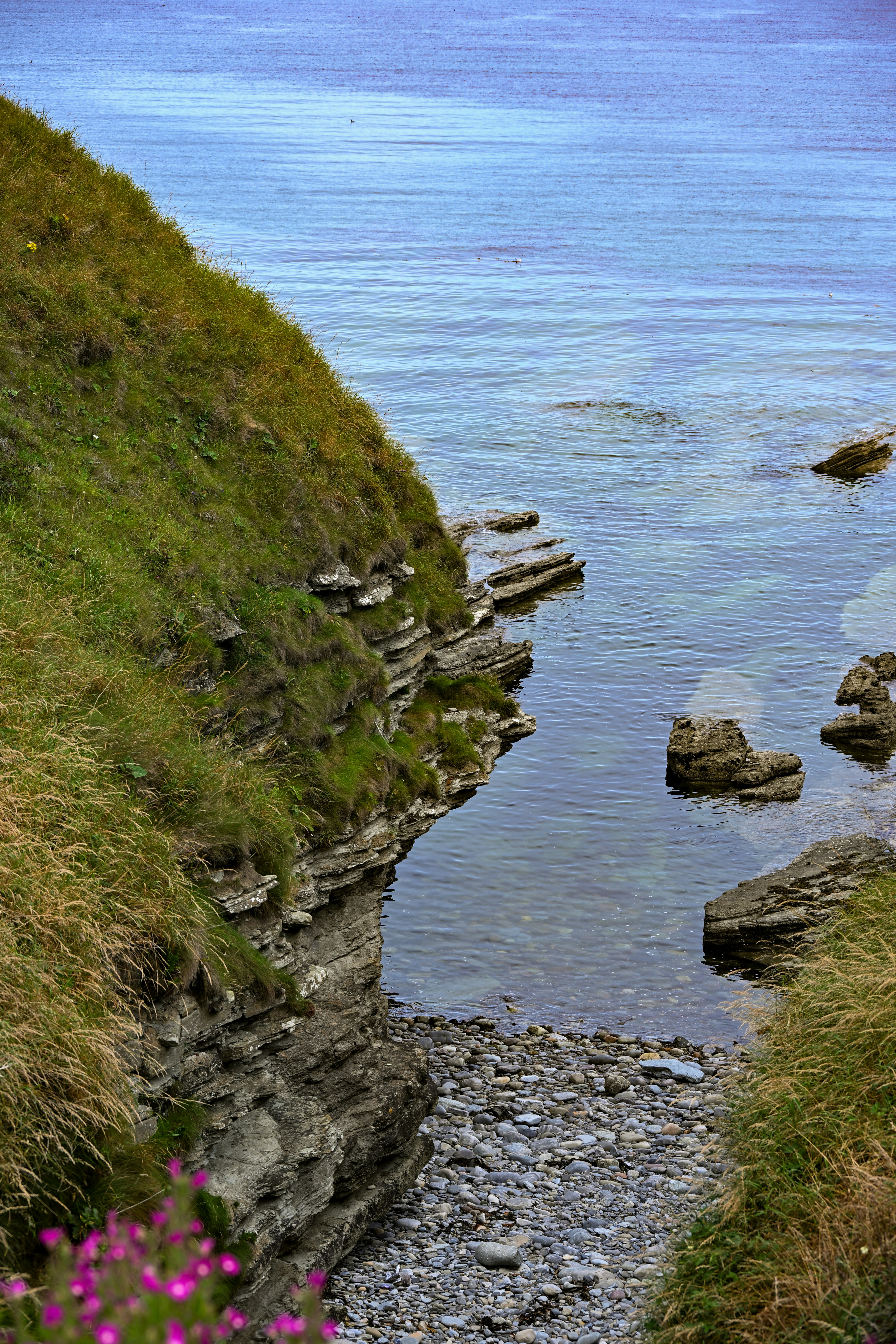Nature's Serene Embrace: The Meeting of Land and Water