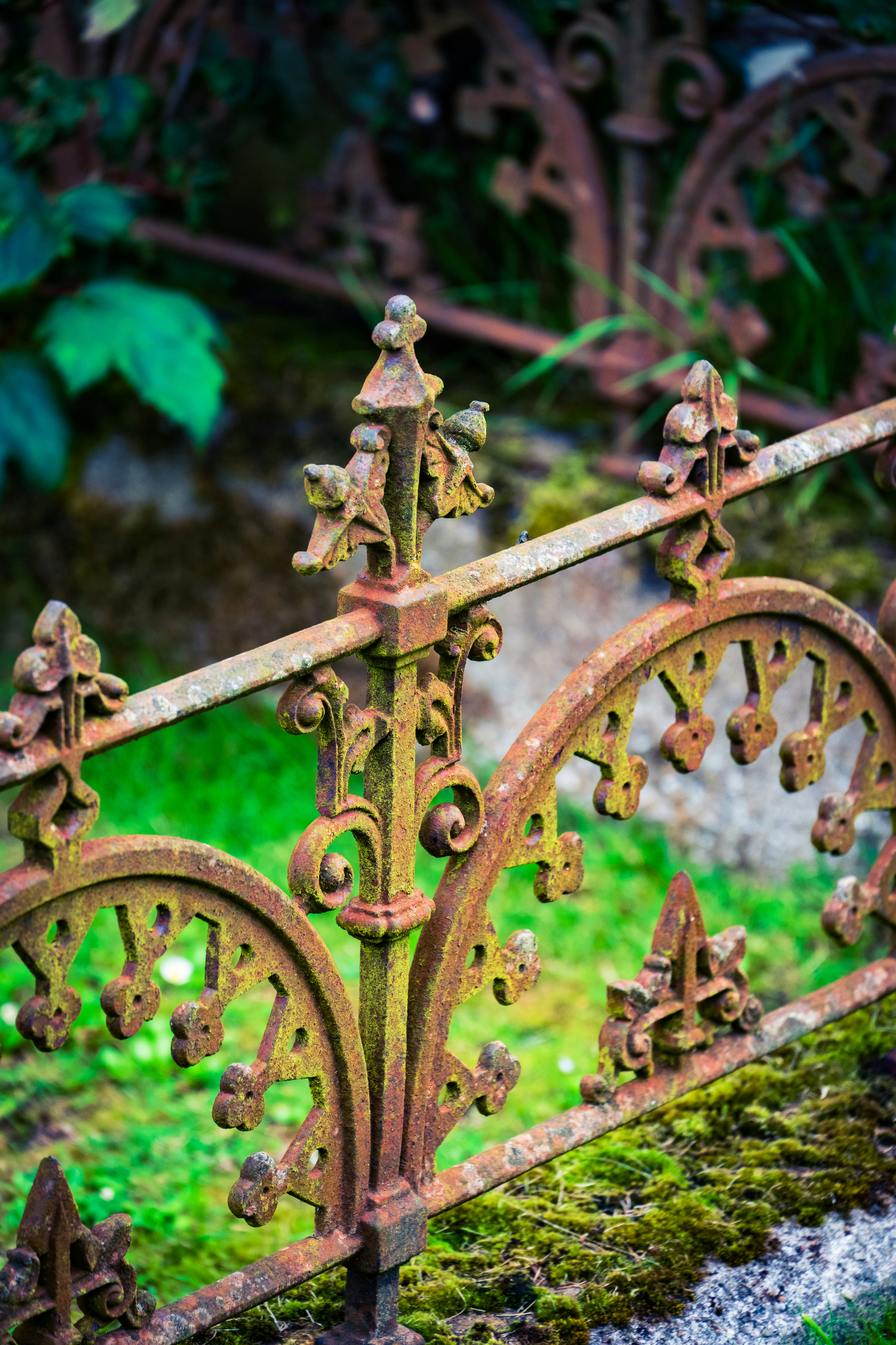 Ornate rusty metal fence with green foliage