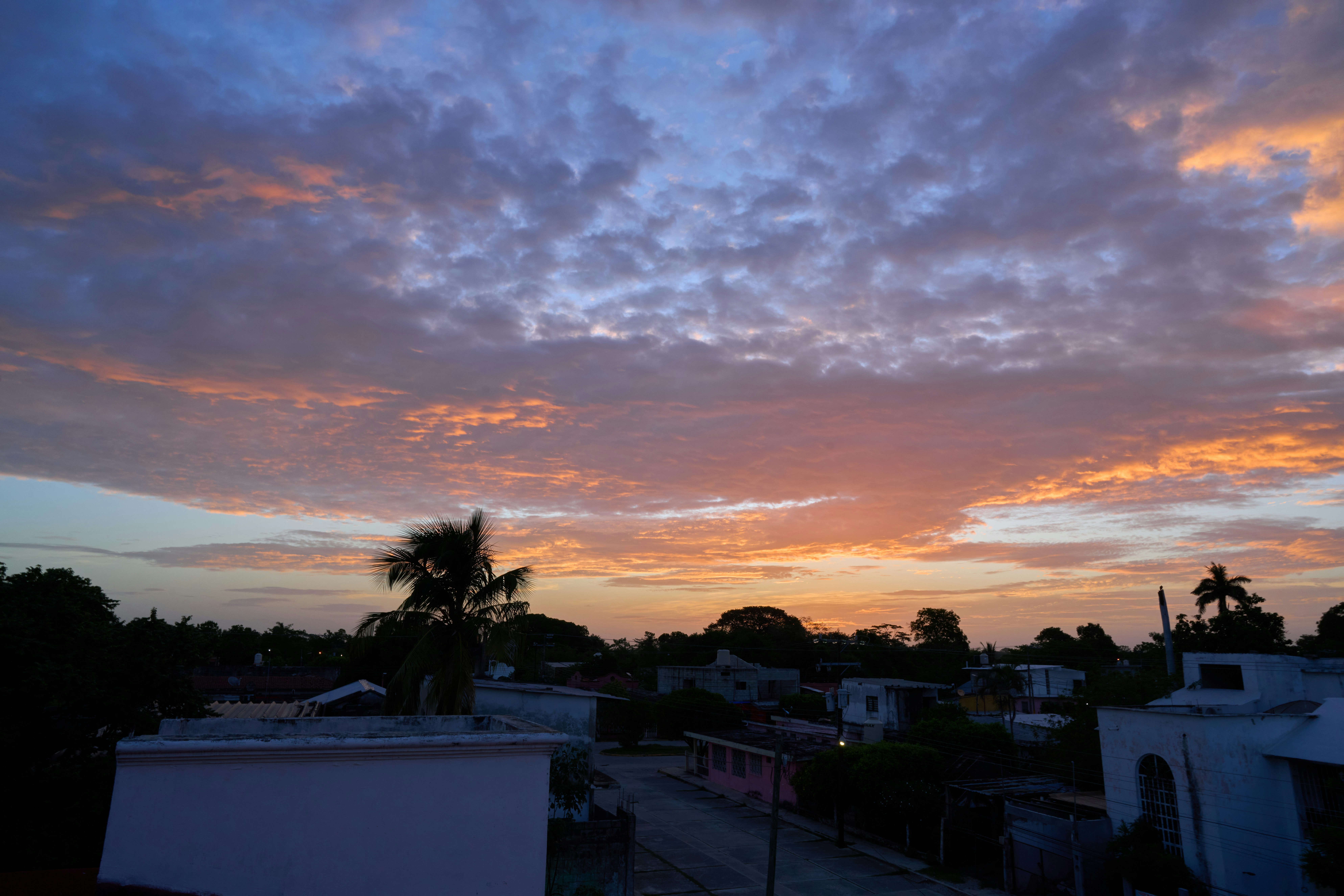 Vibrant sunset casting warm hues across a tranquil urban landscape, highlighting the silhouettes of buildings and palm trees.