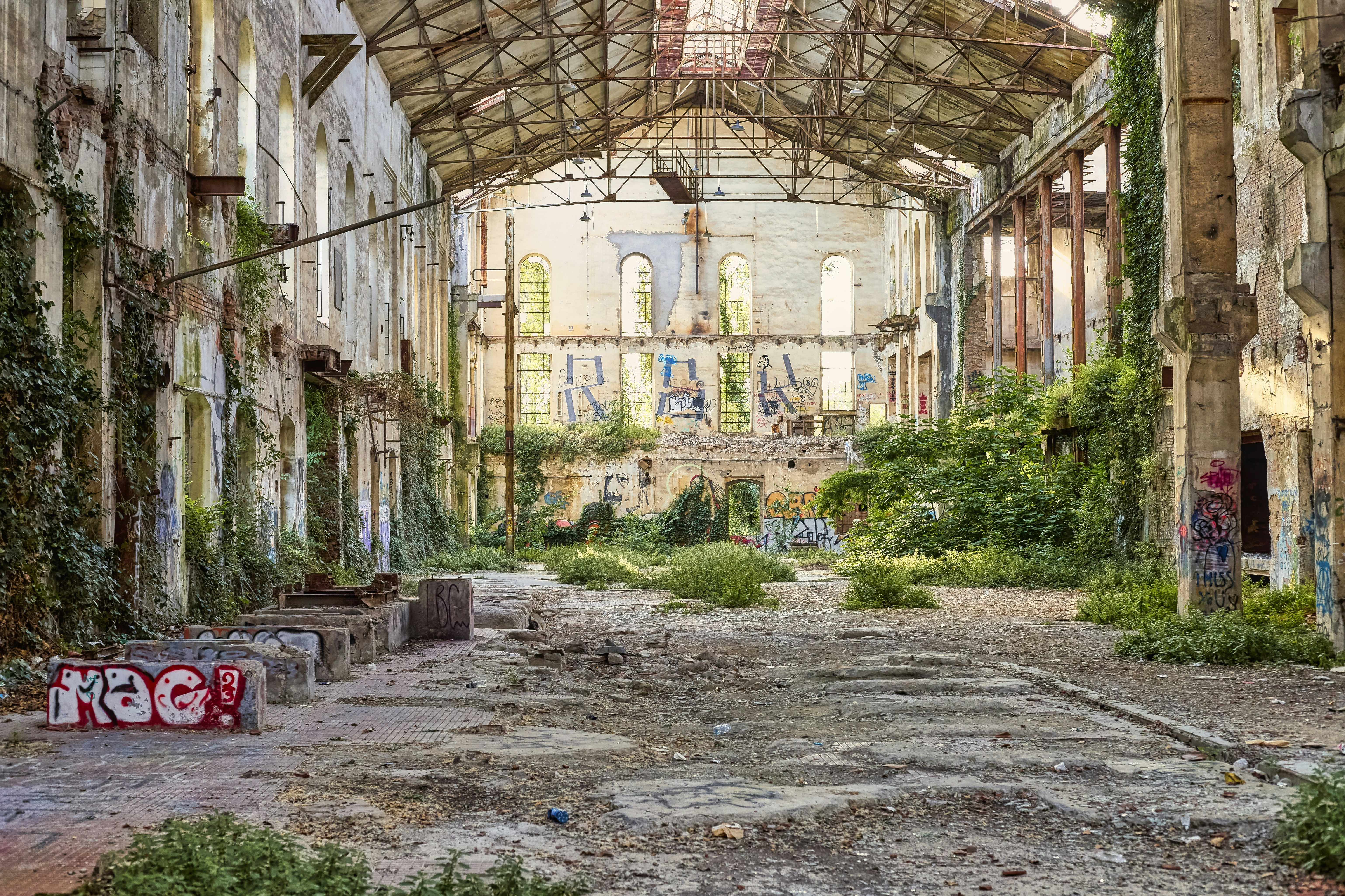Overgrown Hall of Echoes: Graffiti and Decay in an Abandoned Factory
