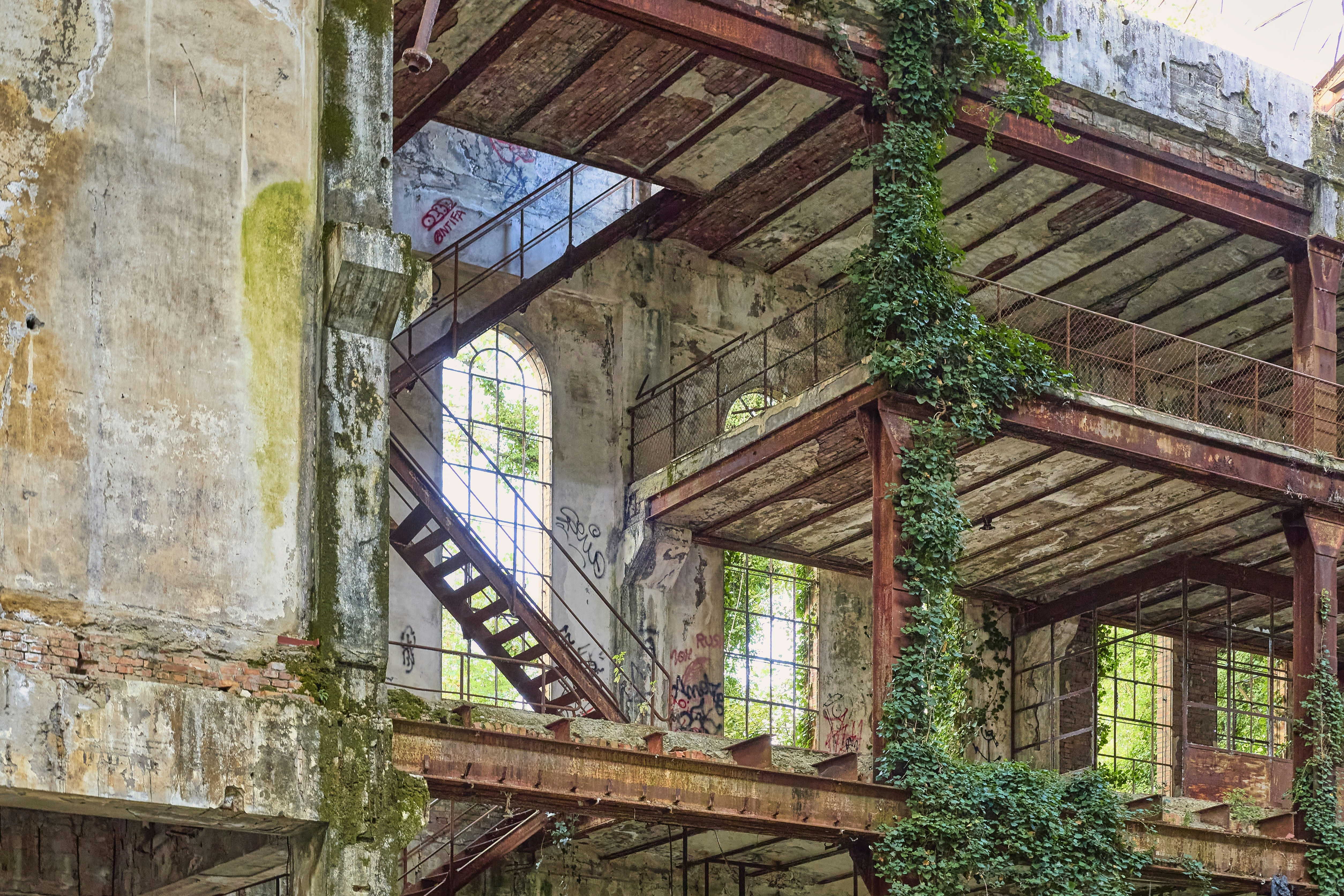 Abandoned building with overgrown vines and rusty metal structure
