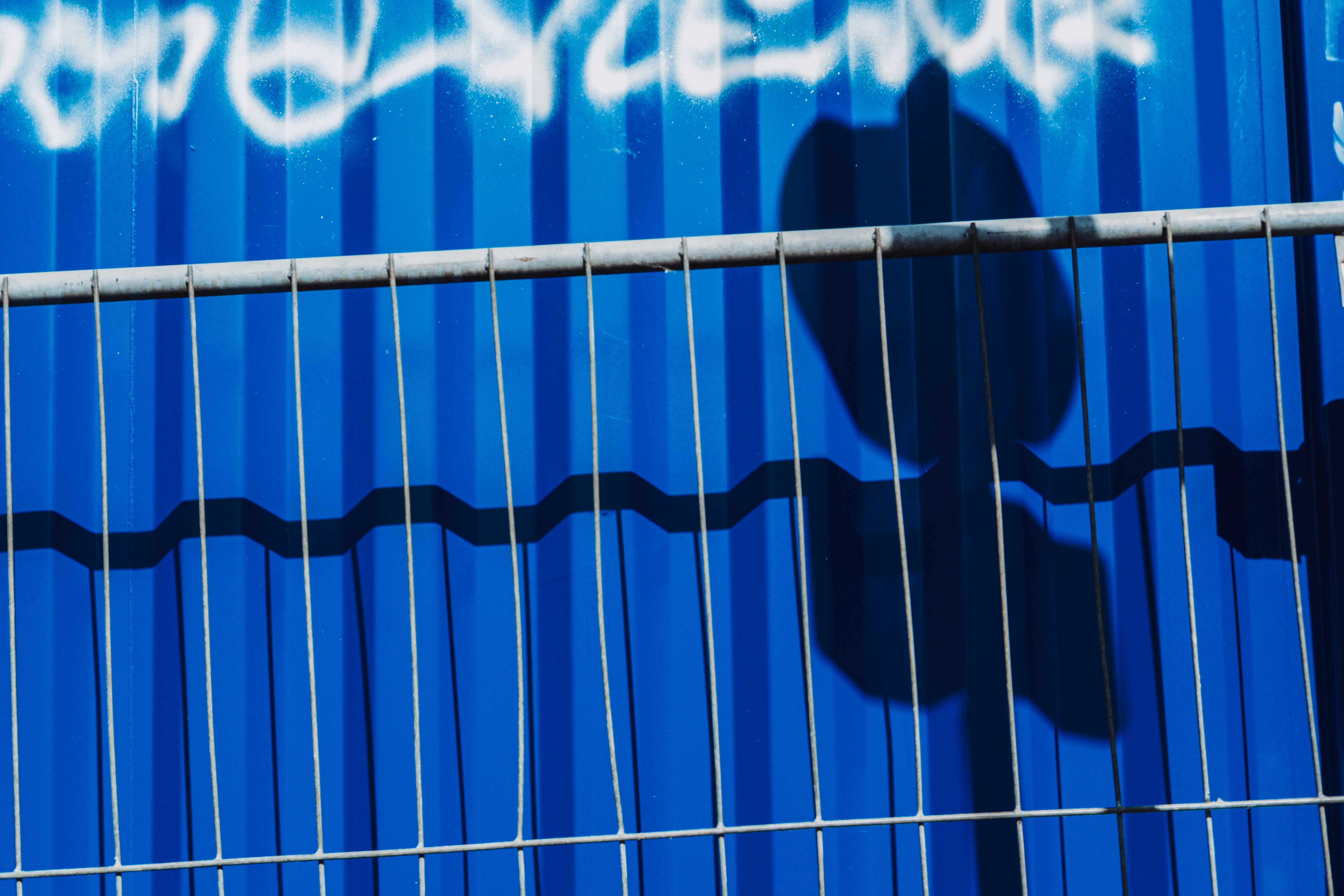 Shadow Beneath the Fence: A Blue Wall Portrait