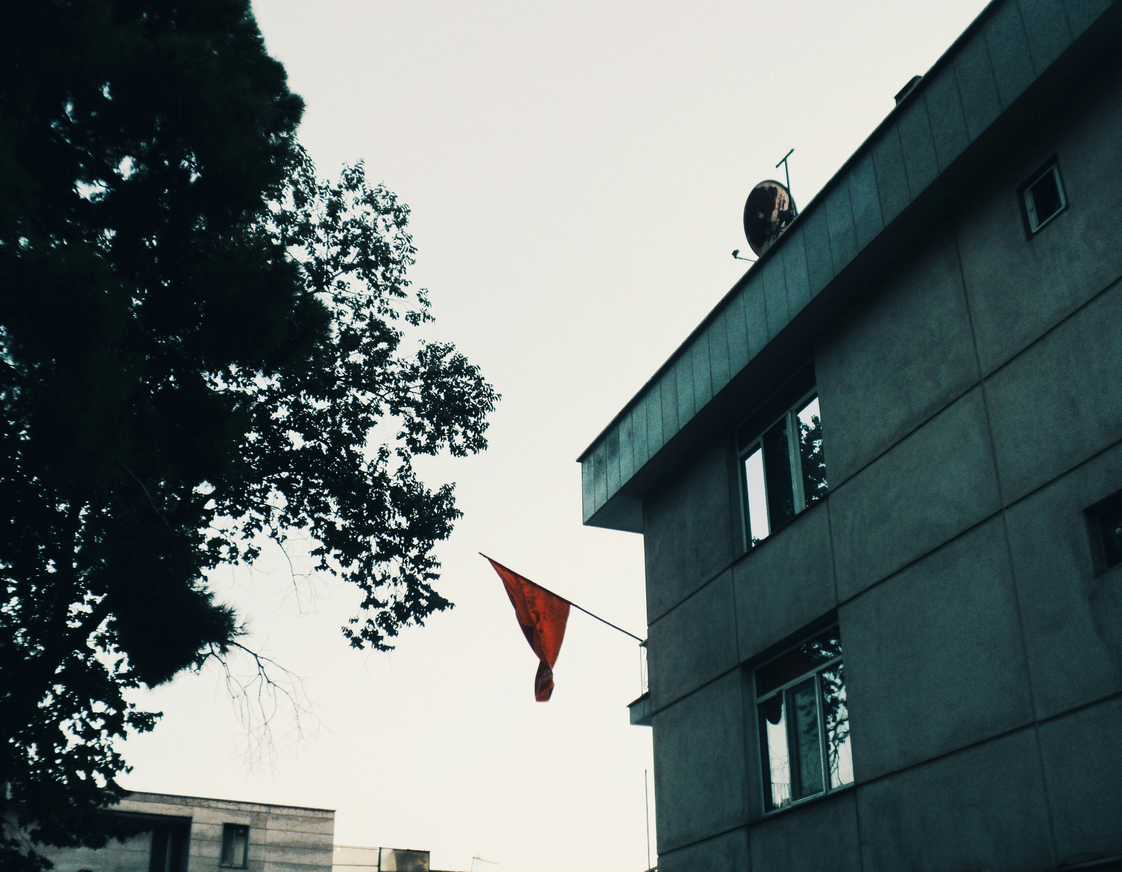 A beacon of hope on a somber facade. | Red flag hangs from a building near trees