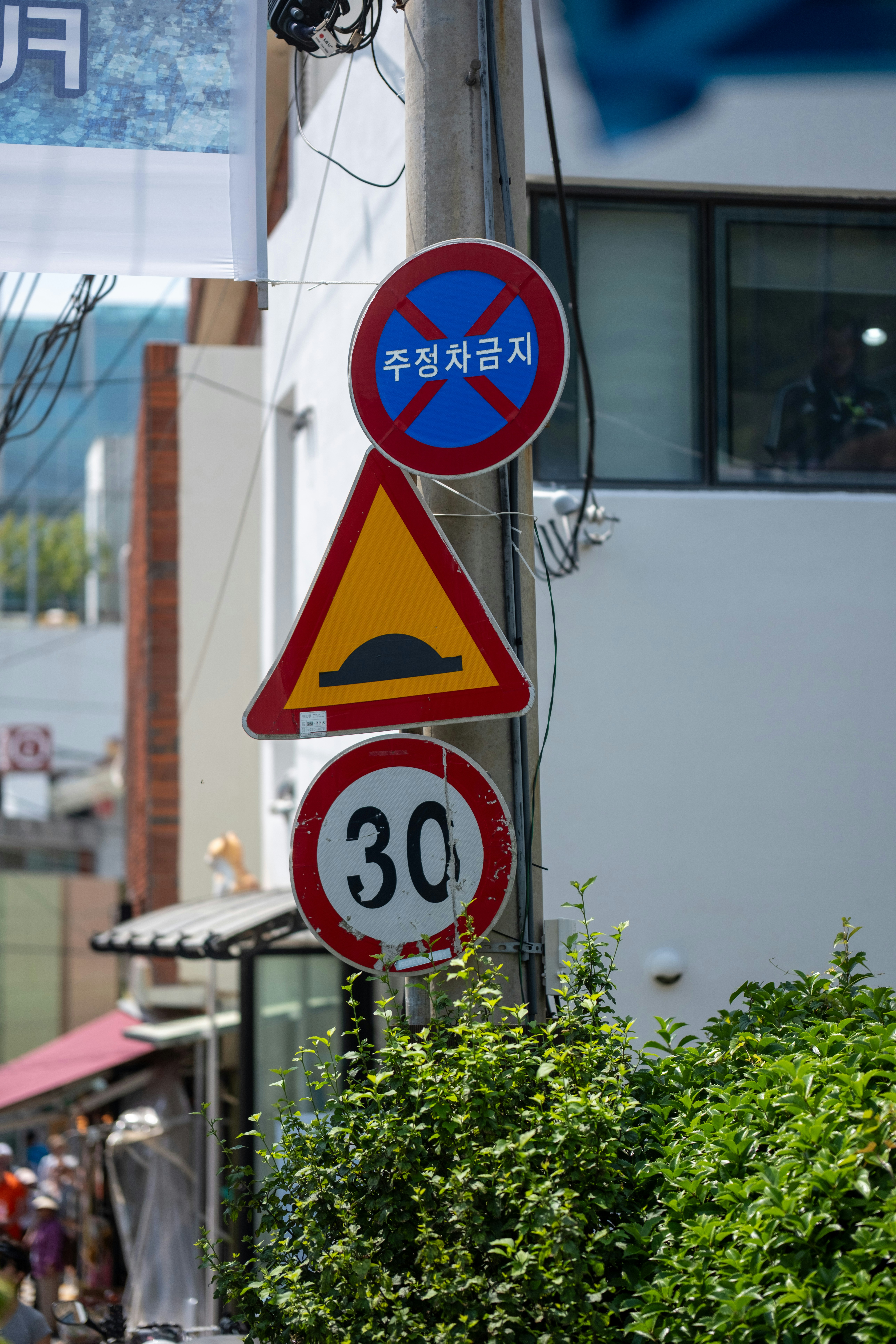 Urban Signage Symphony