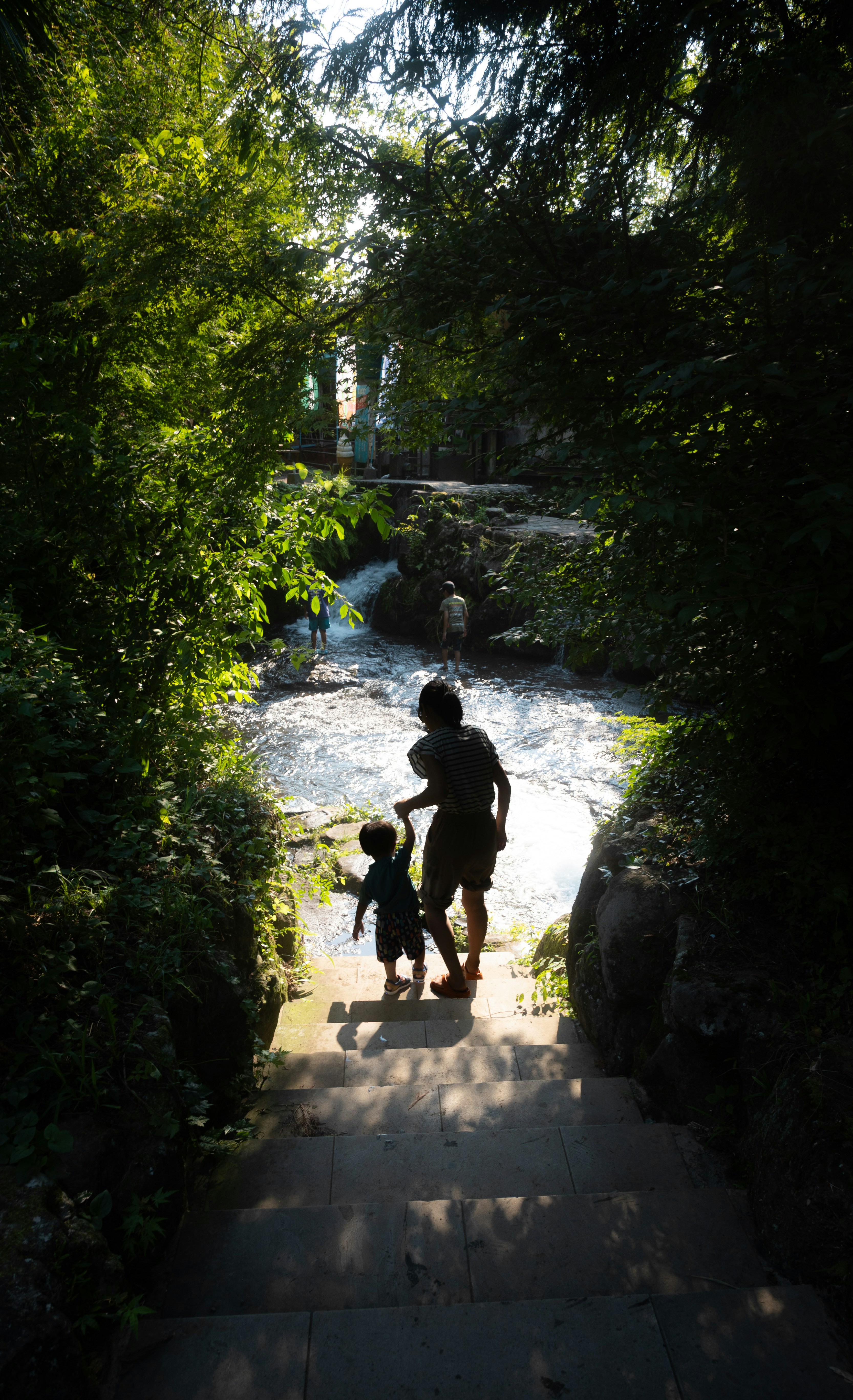 Sunlit Descent to the River: A Family's Quiet Moment in the Forest