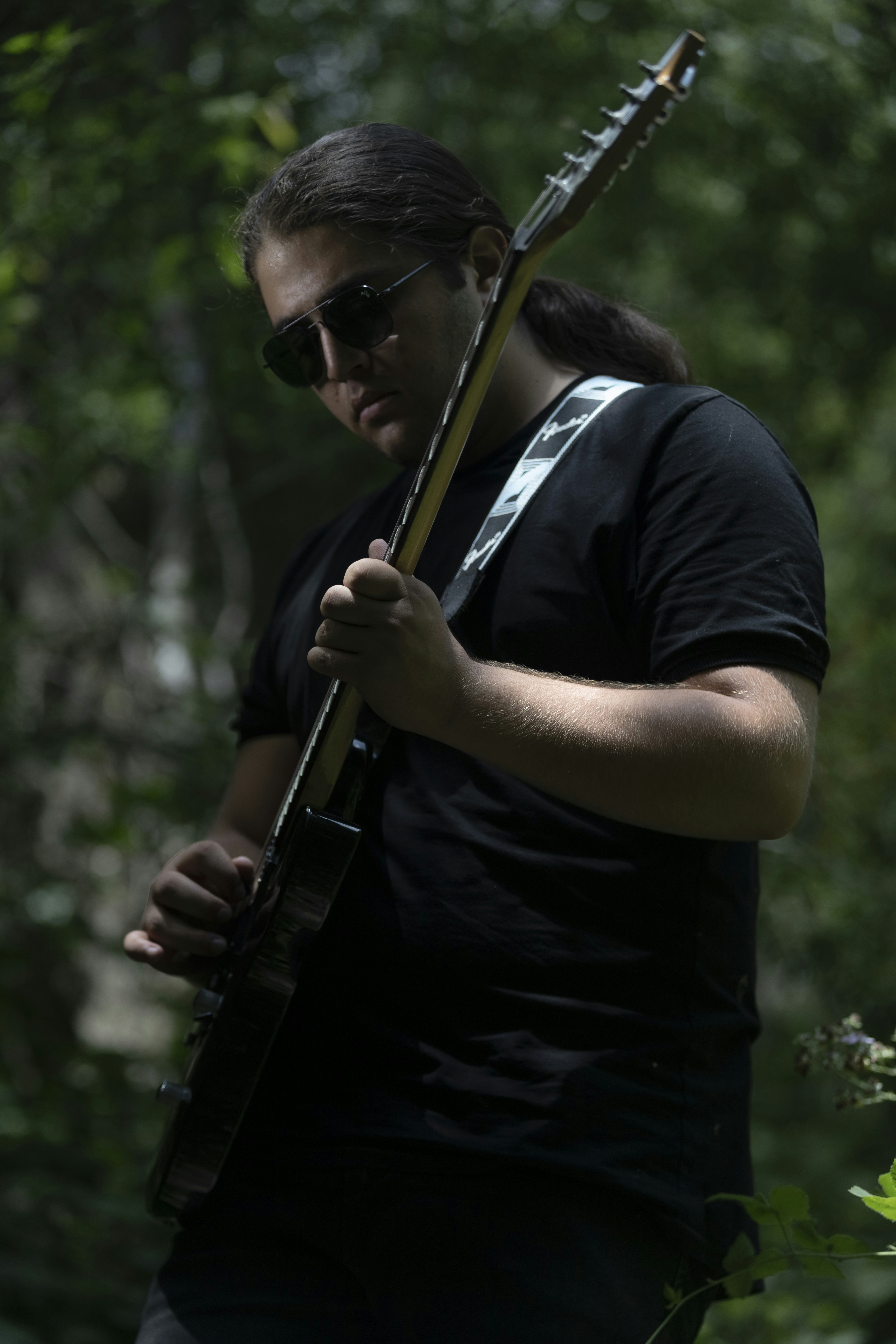 Melody in the Shadows