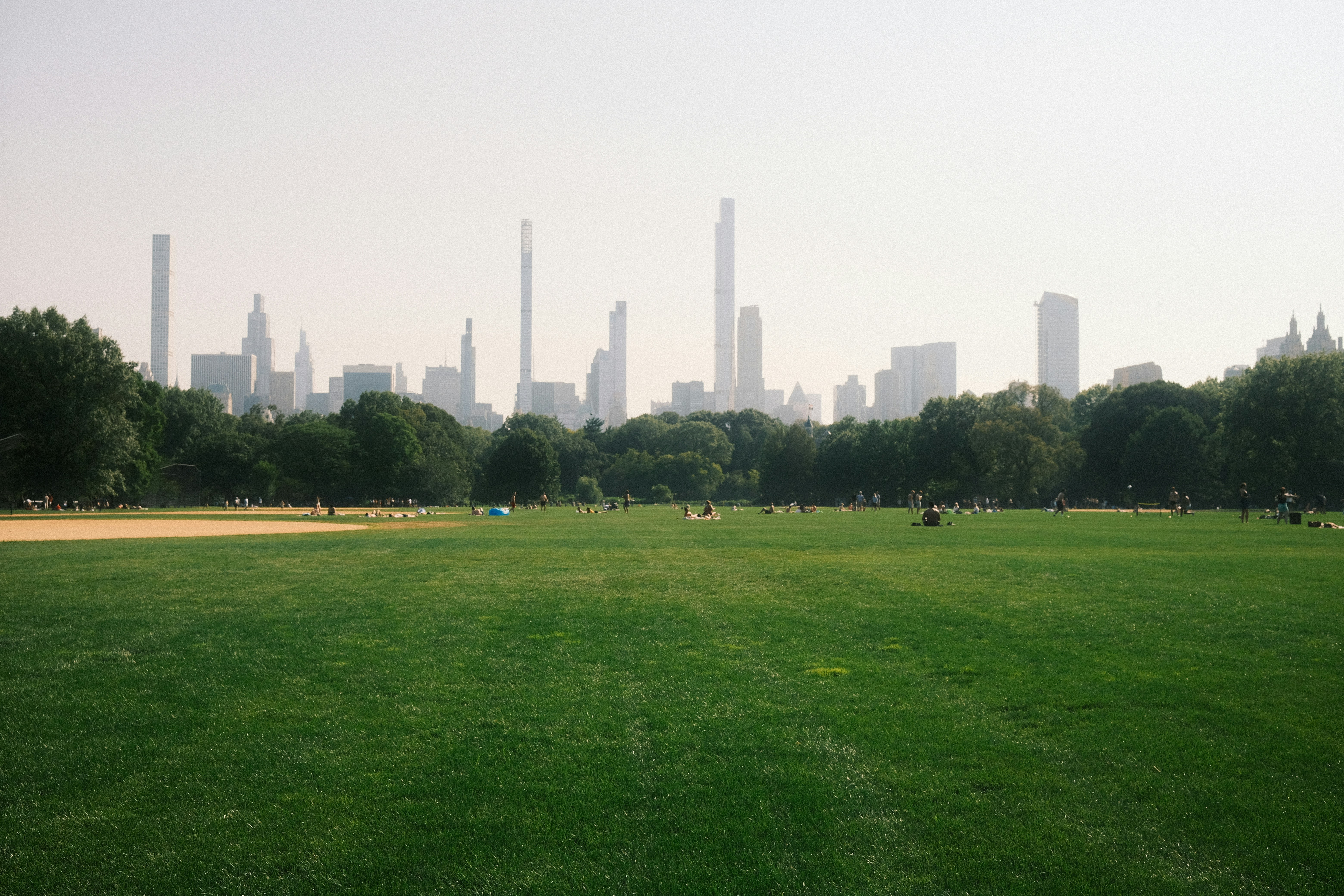 Urban Serenity: A Green Oasis Amidst Skyscrapers