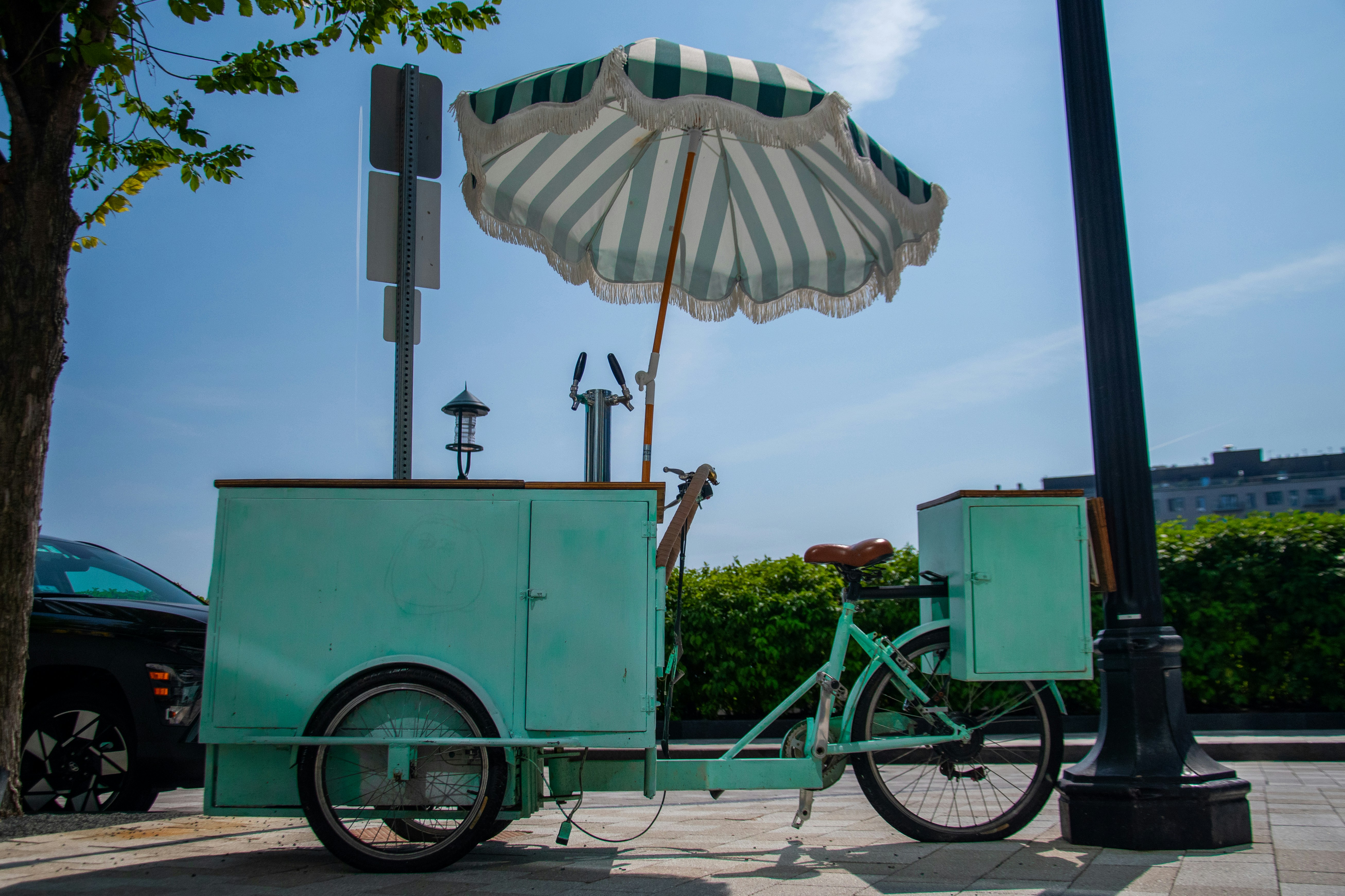 Whimsical Wheels: The Charming Ice Cream Bicycle
