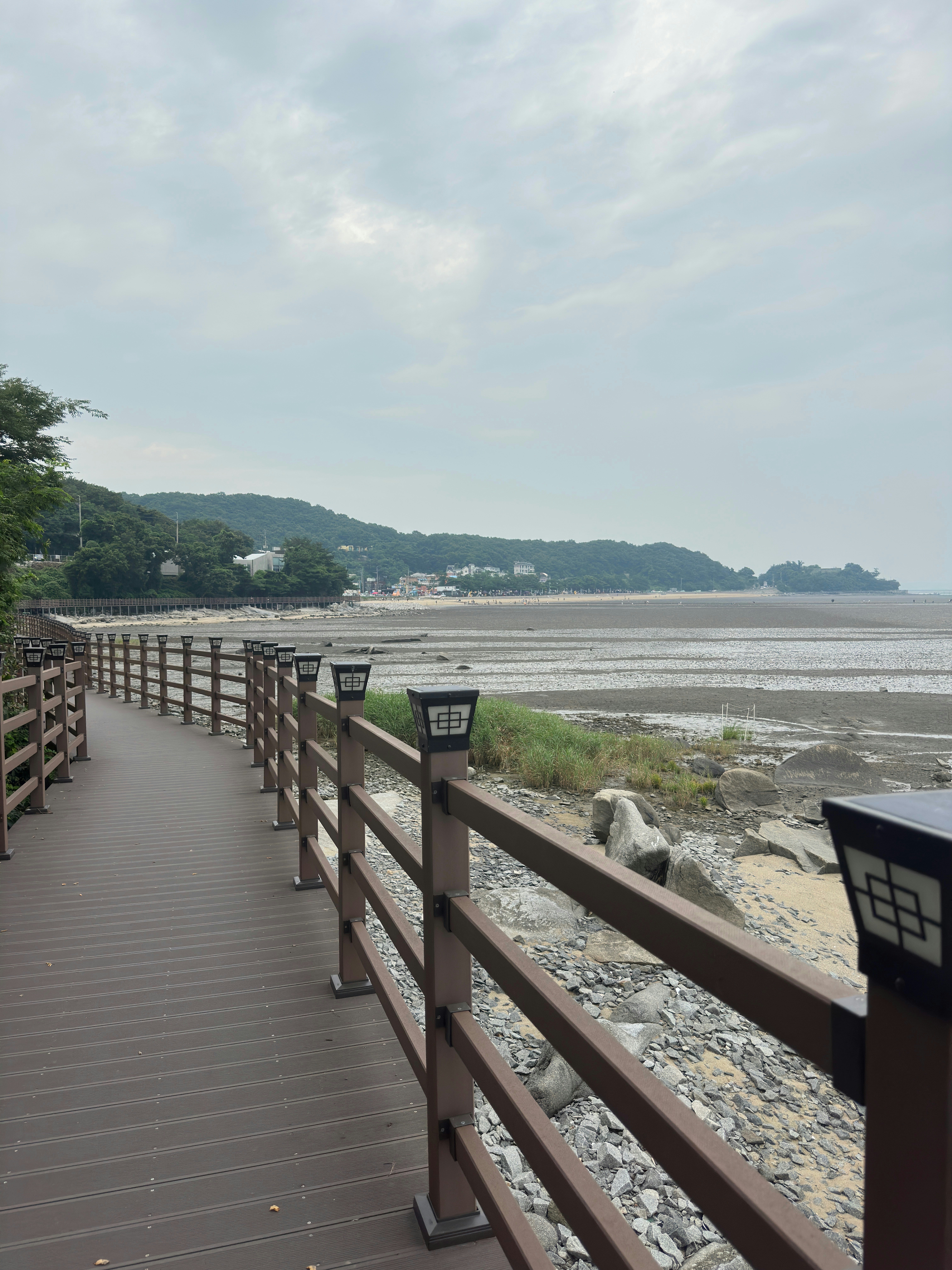 Pathway to Serenity: A Coastal Stroll