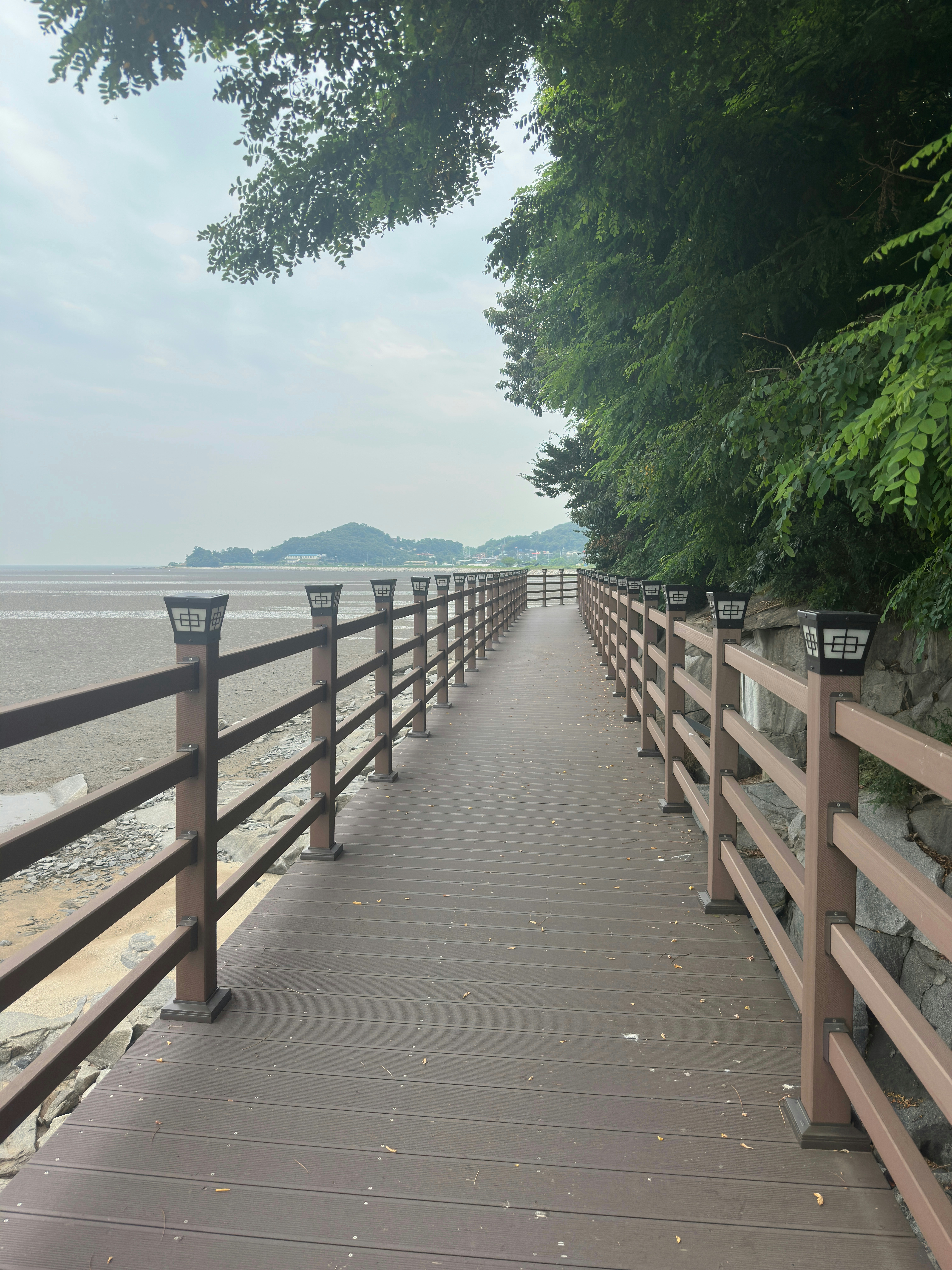 Pathway to Serenity: A Journey Along the Shore