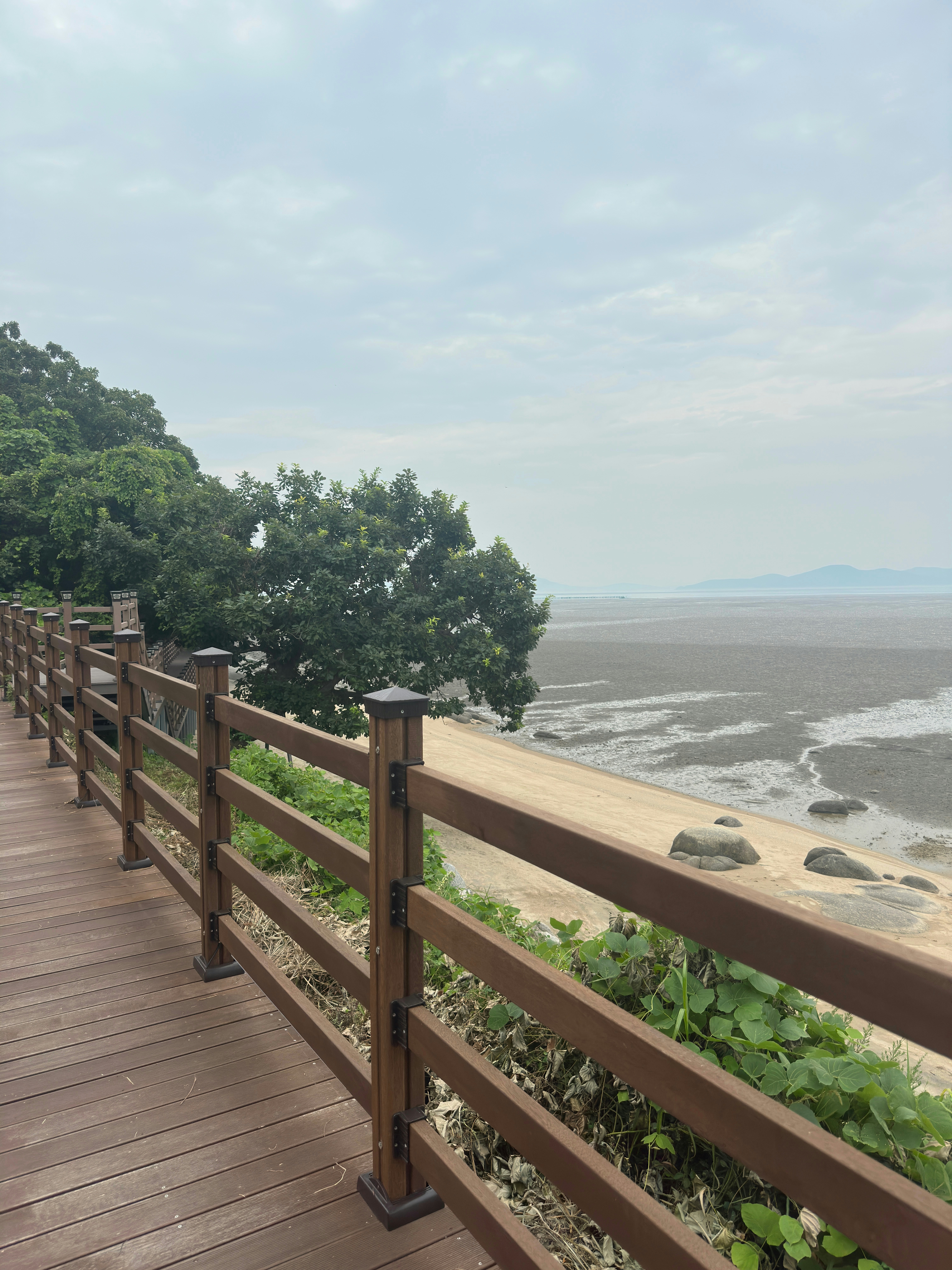Wooden walkway beside a muddy shore and distant ocean