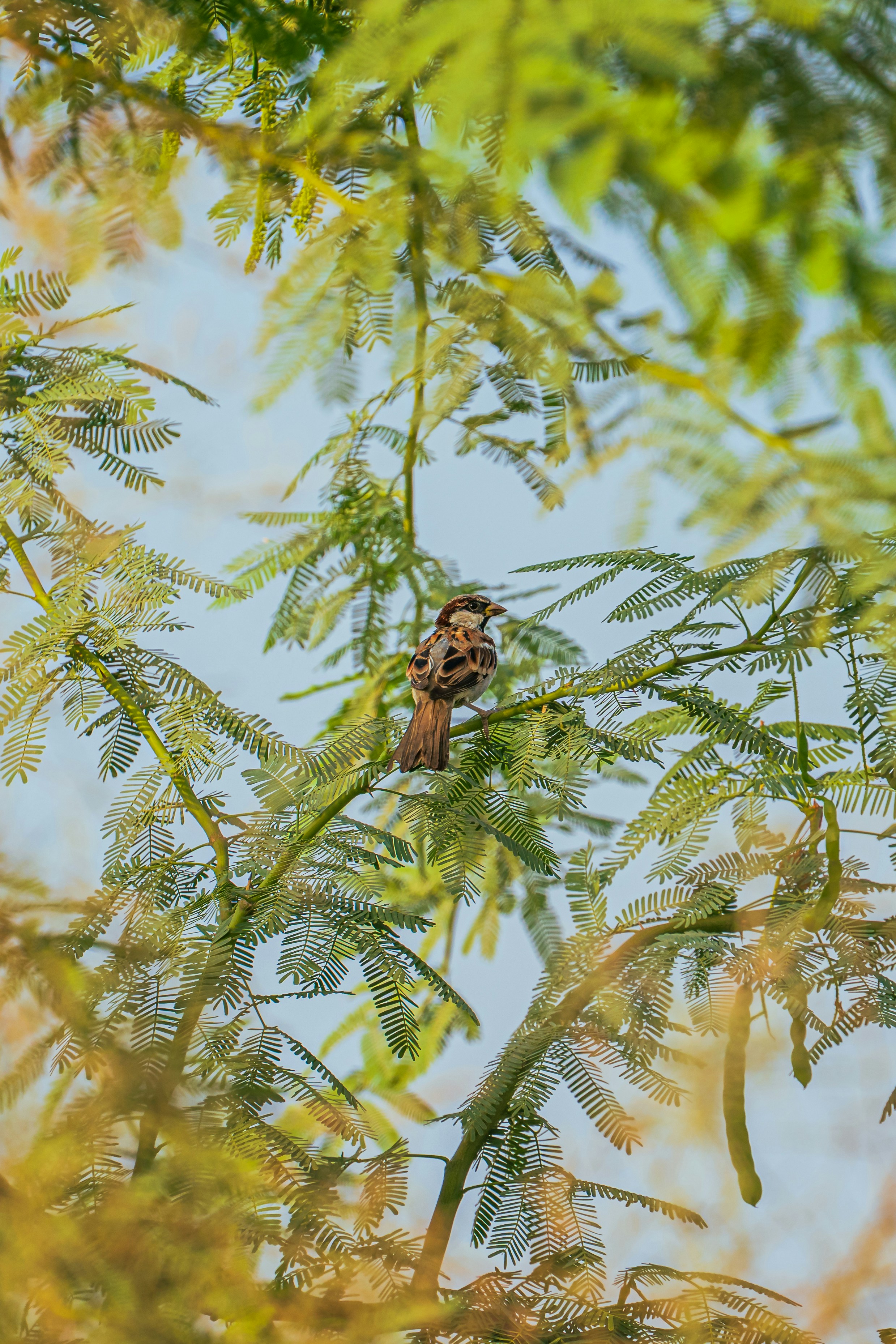 Photo by Husam Harrasi with Sony Alpha 7 III