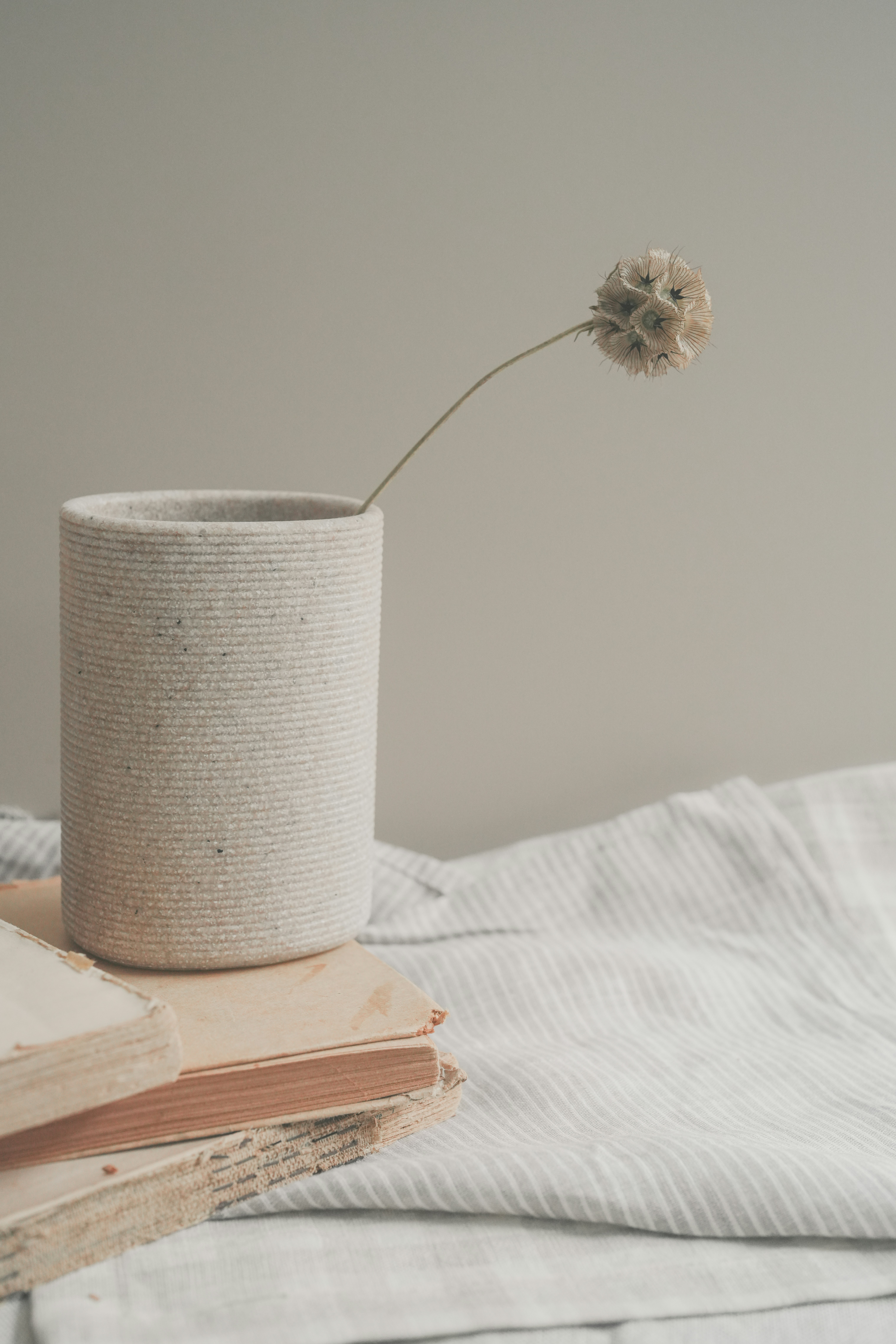 A single dried flower placed in a textured ceramic cup, resting on a striped linen cloth. The neutral palette, negative space, and soft shadows reflect the essence of slow living and minimal Japanese-inspired aesthetics. | A vase with a dried flower sits on books.