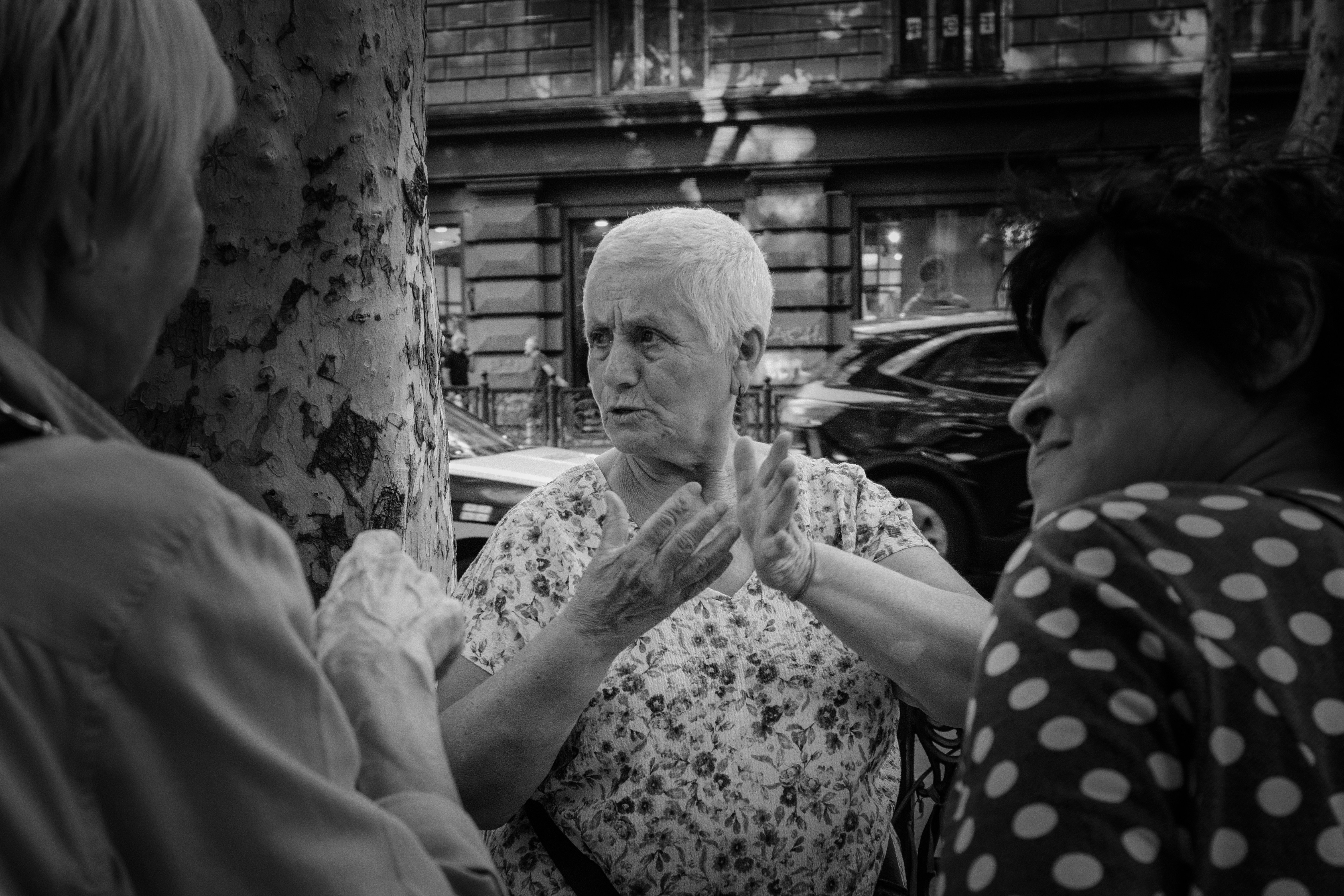 Conversations in the Shade: A Moment of Connection