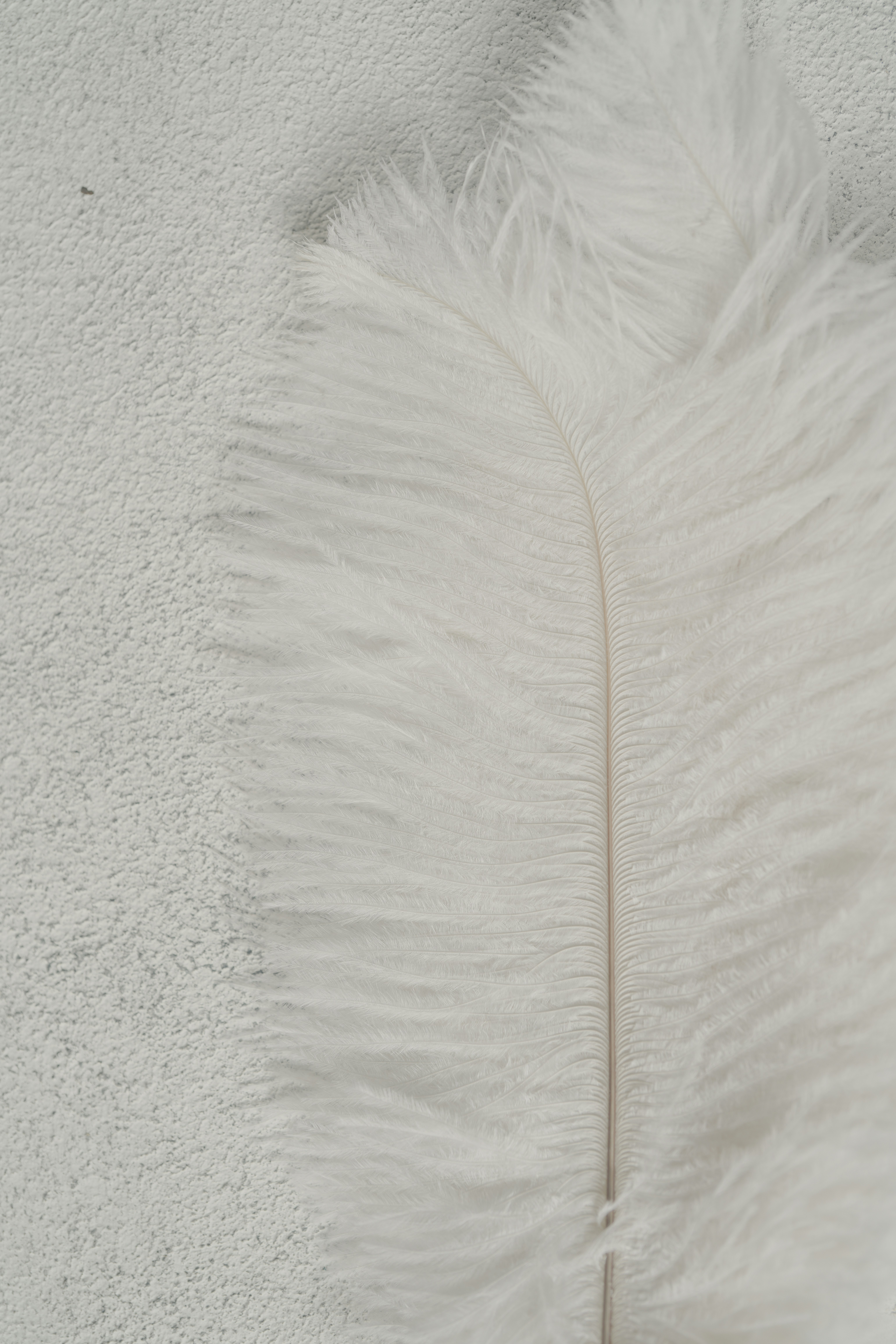 A soft, airy white feather is laid against a textured light gray surface. Neutral tones and minimal composition | A soft white feather rests on a textured surface.