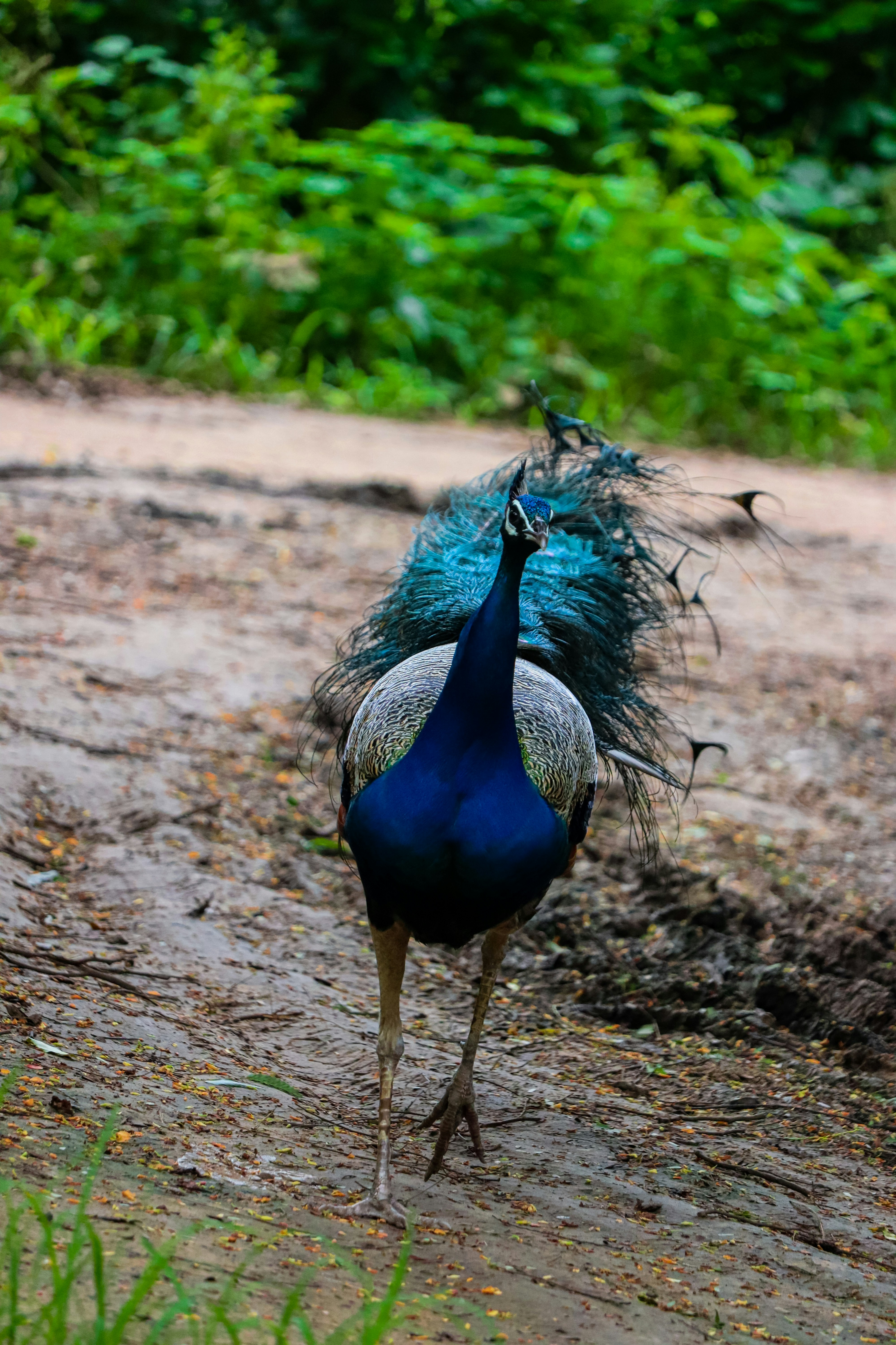 Vishal Parmar (@vp453519) | Komunitas Foto Unsplash