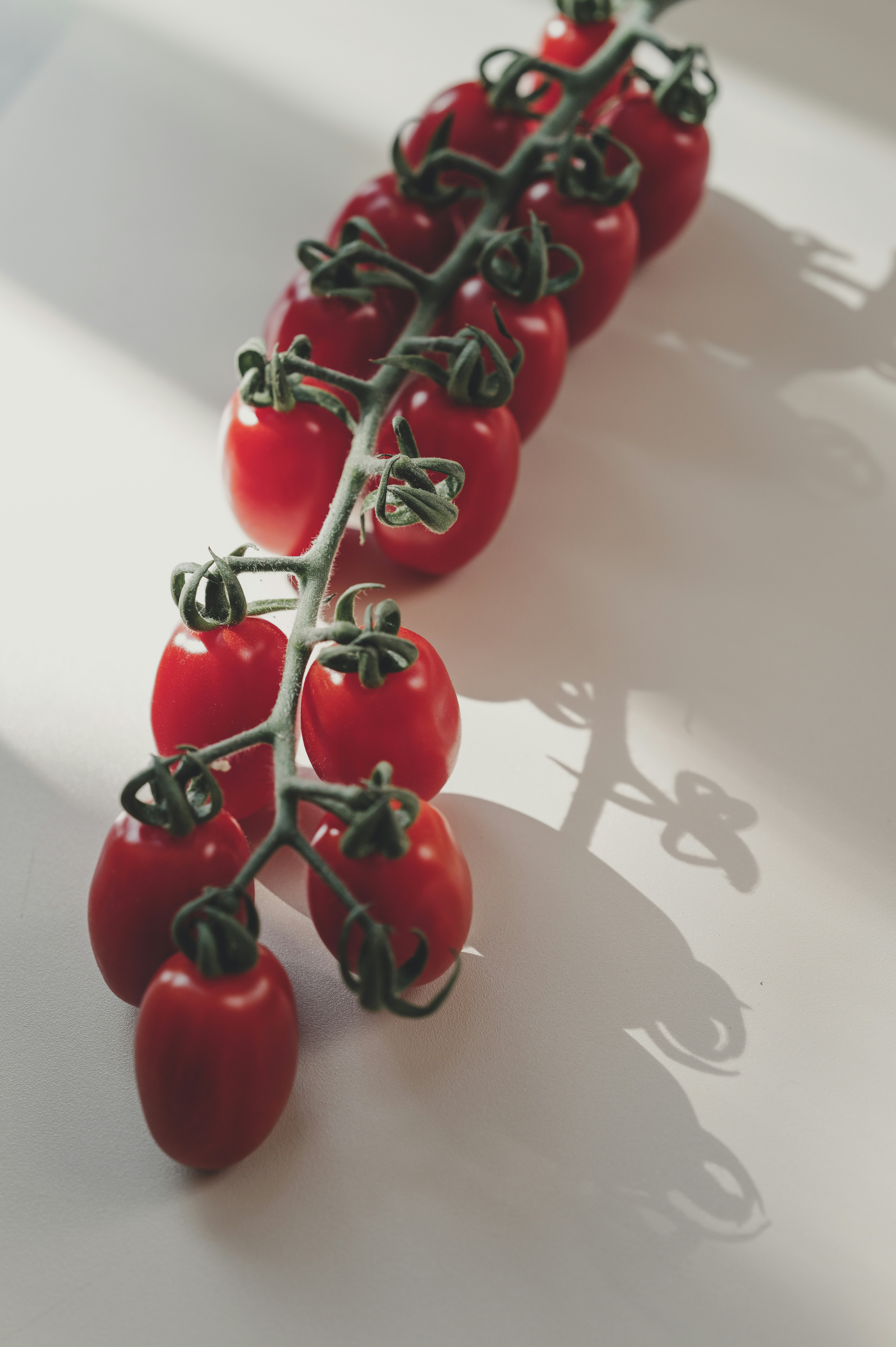 A cluster of ripe cherry tomatoes resting on a surface, casting intricate shadows in the soft light.