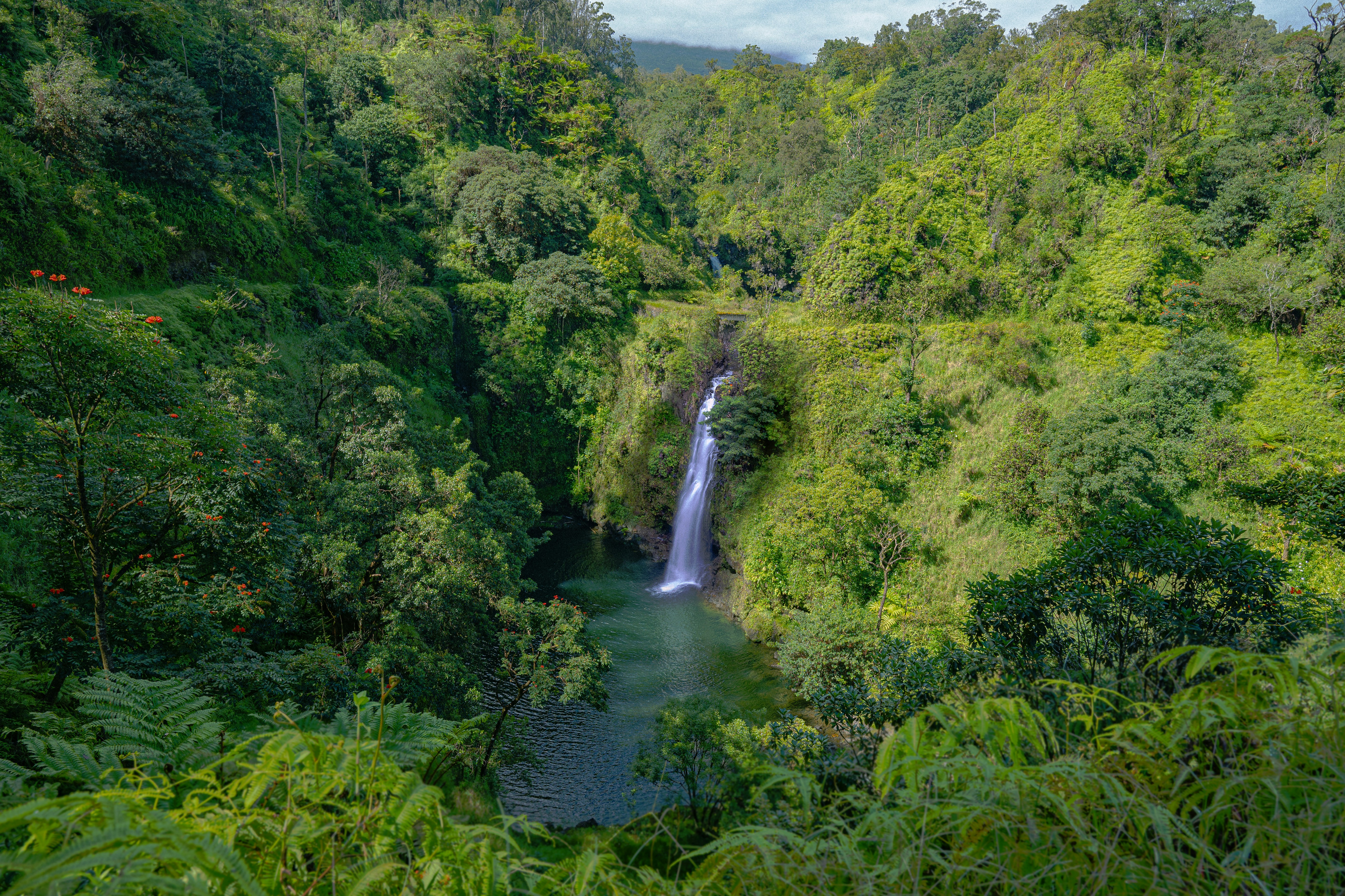 One of many waterfalls found along road to Hana. | Lush green jungle surrounds a tall waterfall cascading into pool.