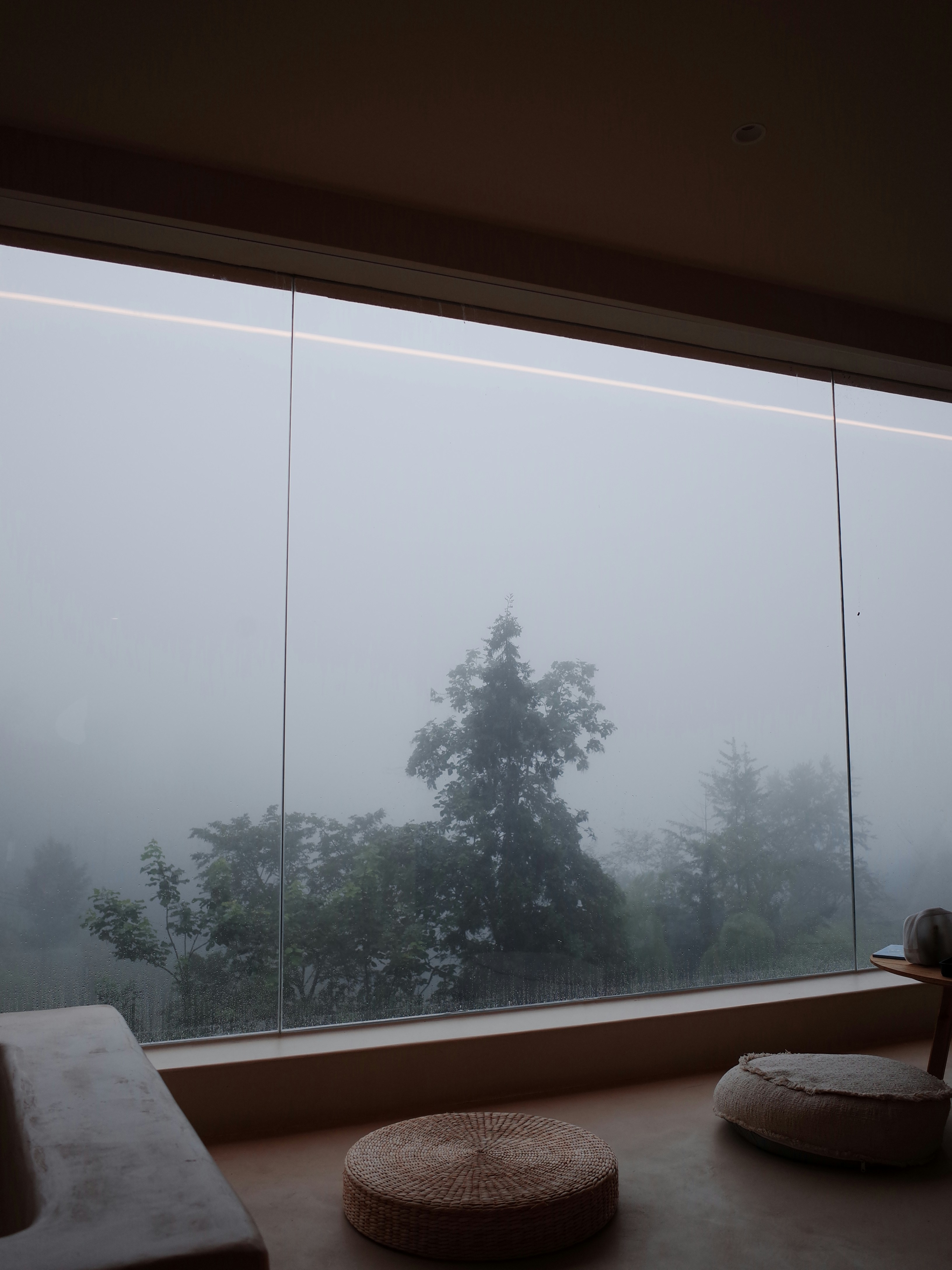 Whispers of the Misty Landscape