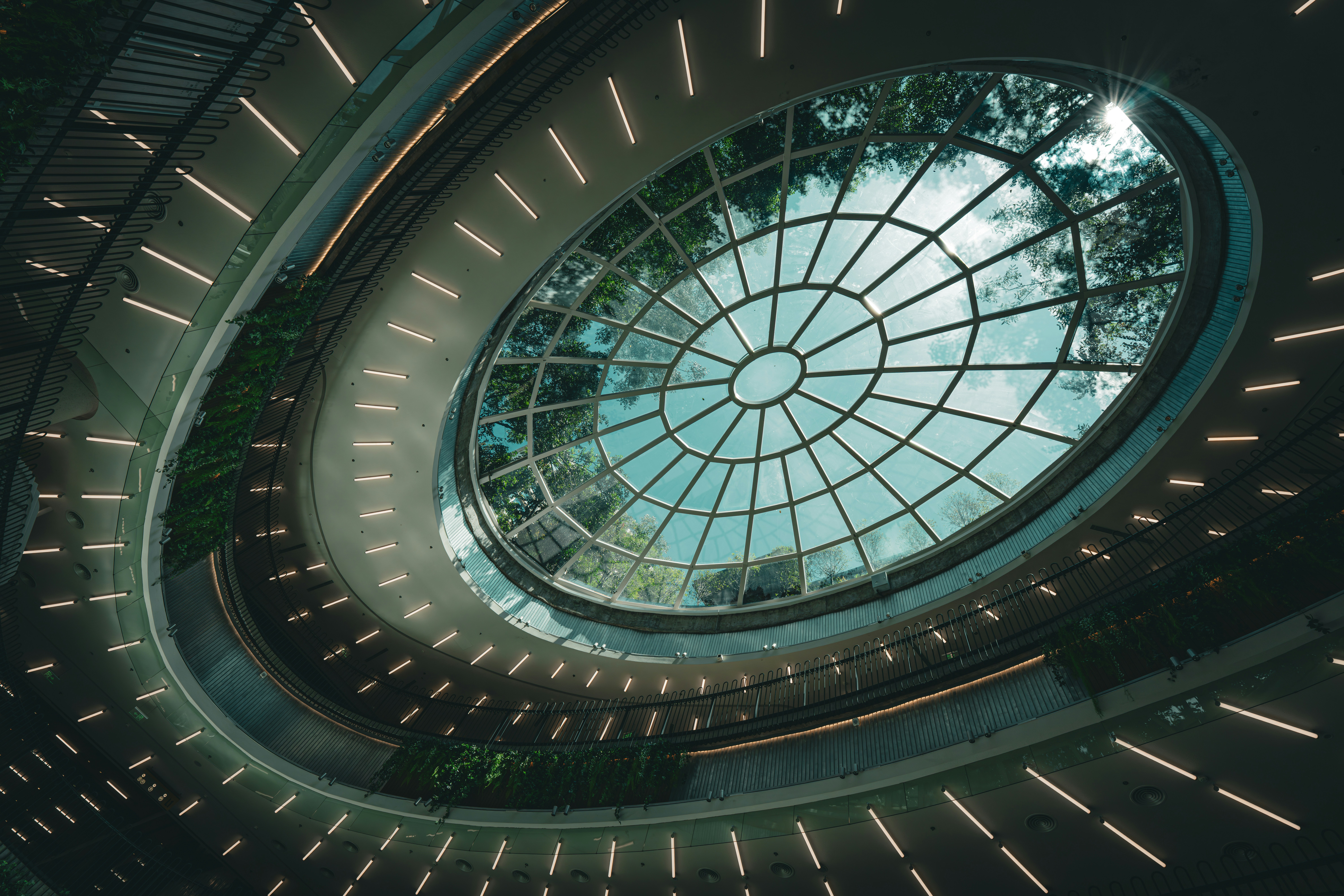 Modern building interior with oval glass ceiling and plants