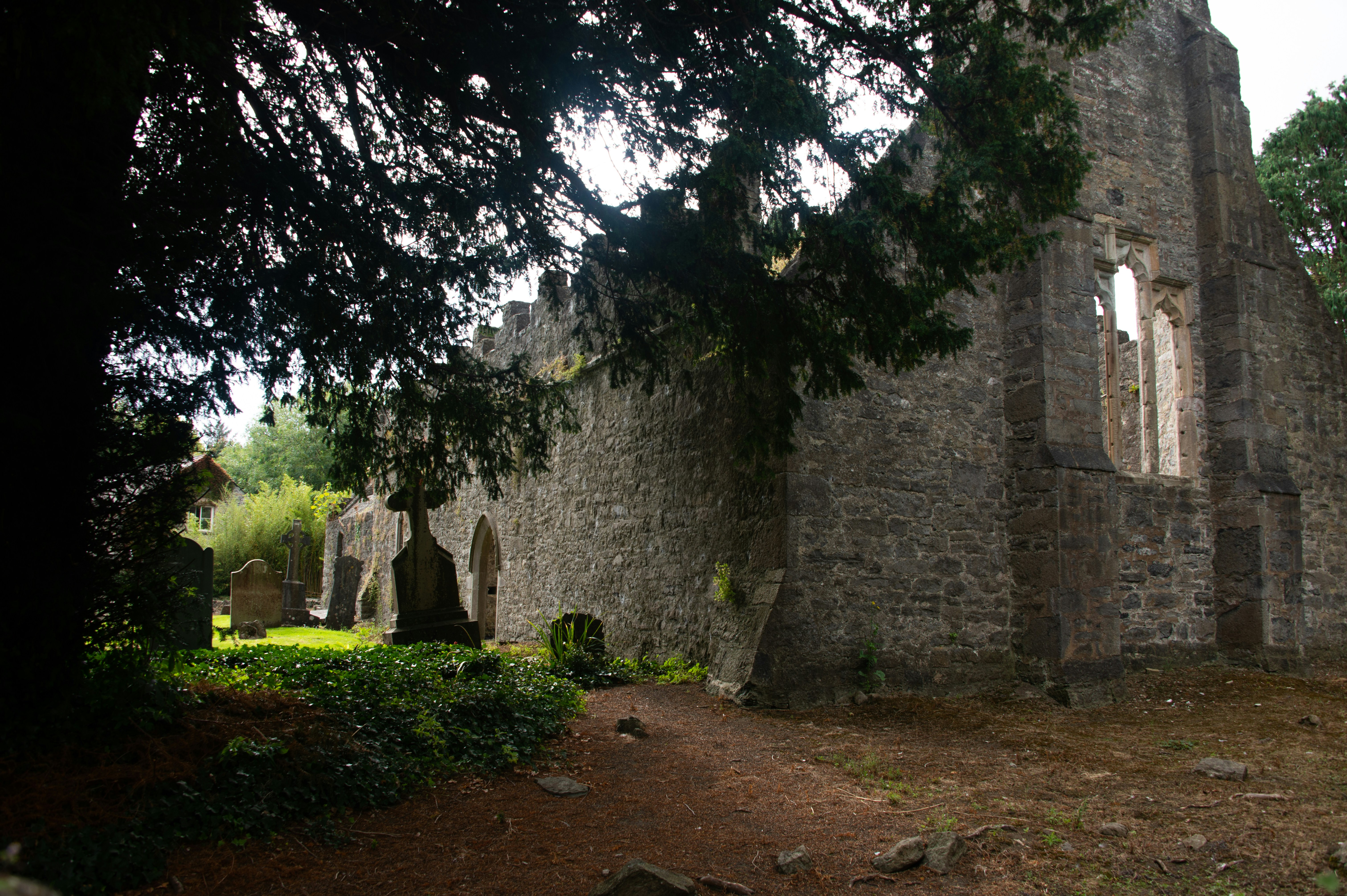 Ancient stone ruins partially obscured by lush greenery, evoking a sense of mystery and history.