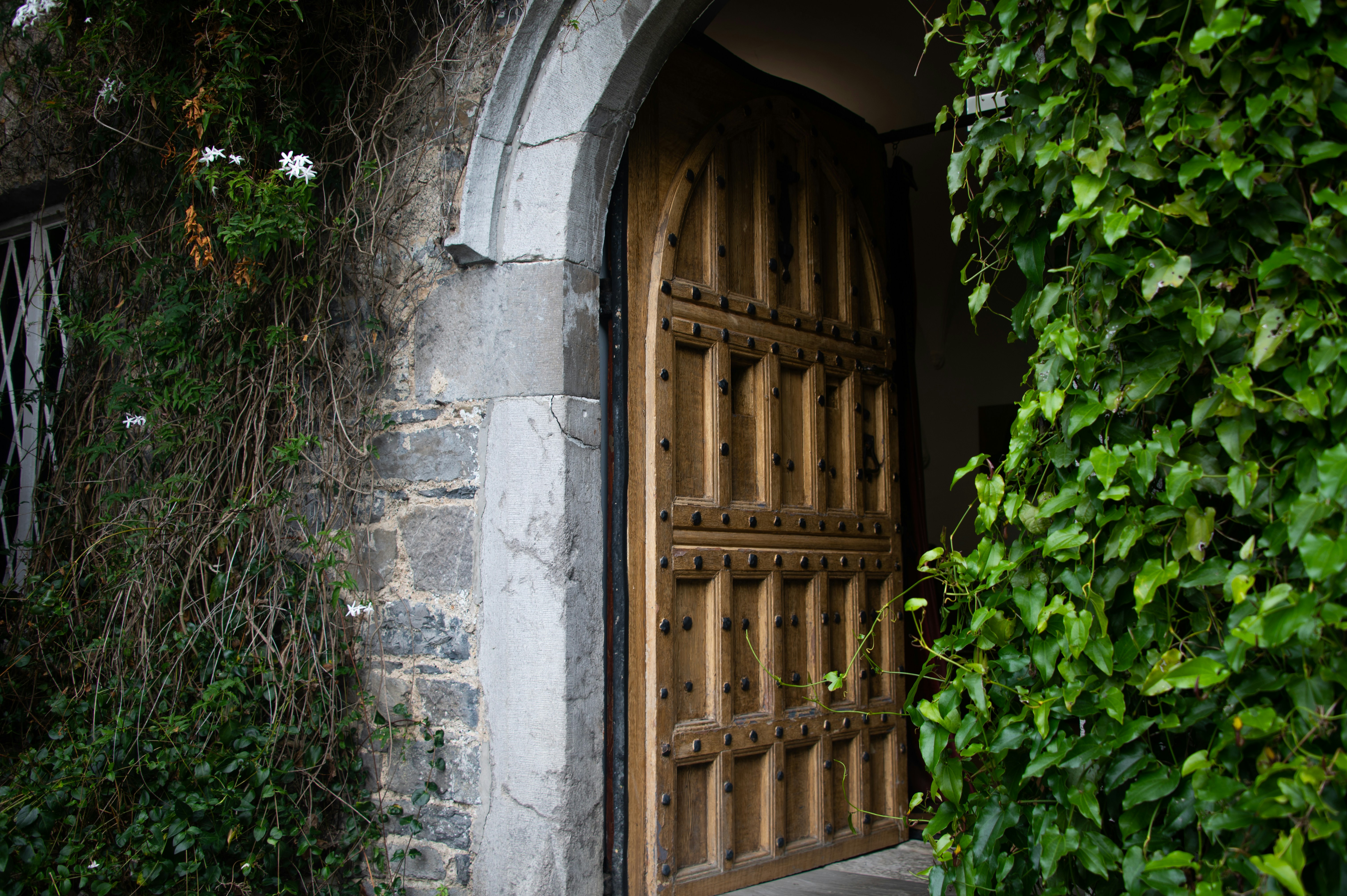 An old wooden door framed by ivy and stone