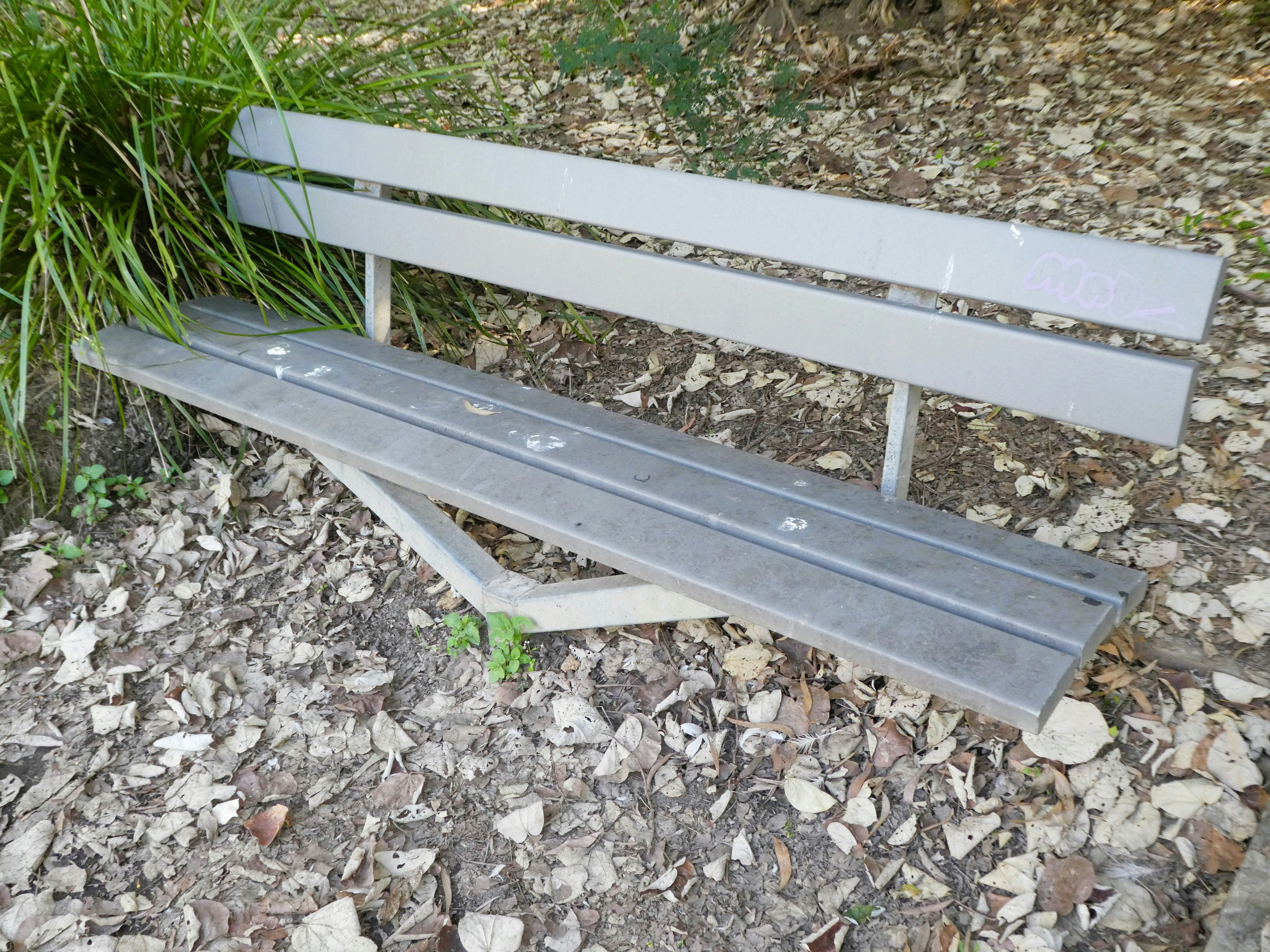 A weathered park bench sits amongst fallen leaves.